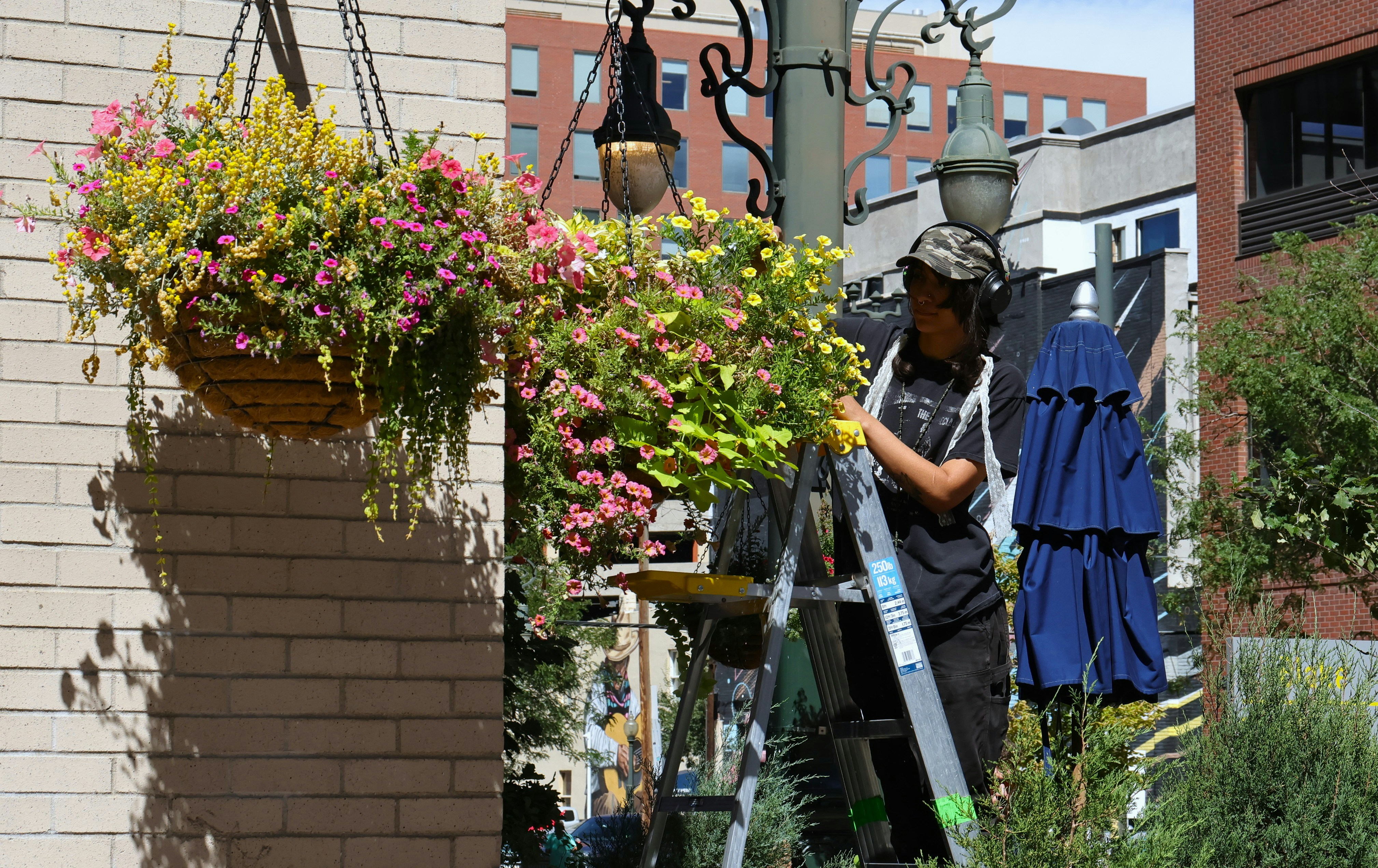 Hanging Blooms: A Gardener at Work Among Streetfront Foliage