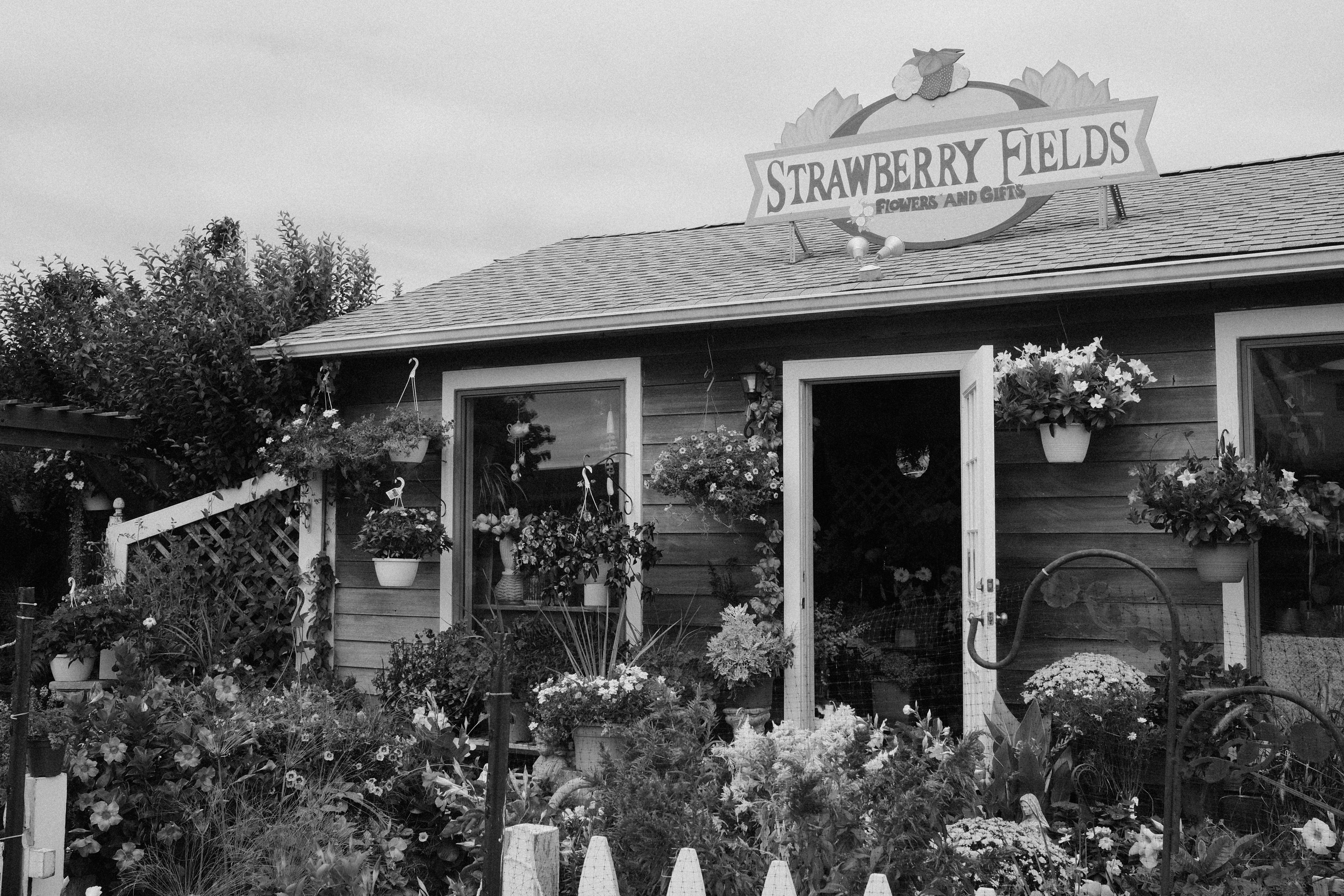 Strawberry Fields Garden: A Quiet Floral Front in Monochrome