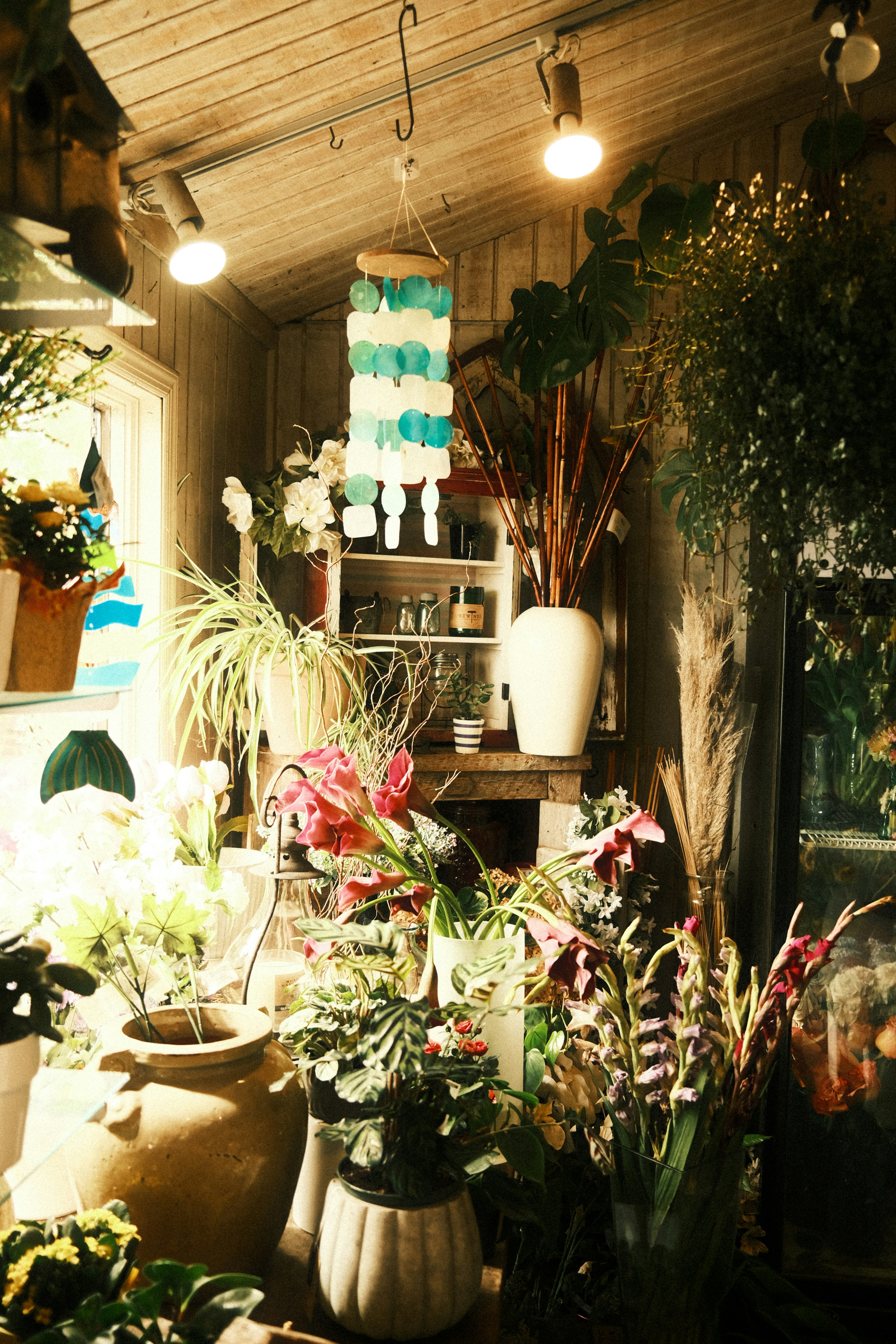 Verdant Corner: A Quiet Florarium in Warm Indoor Light