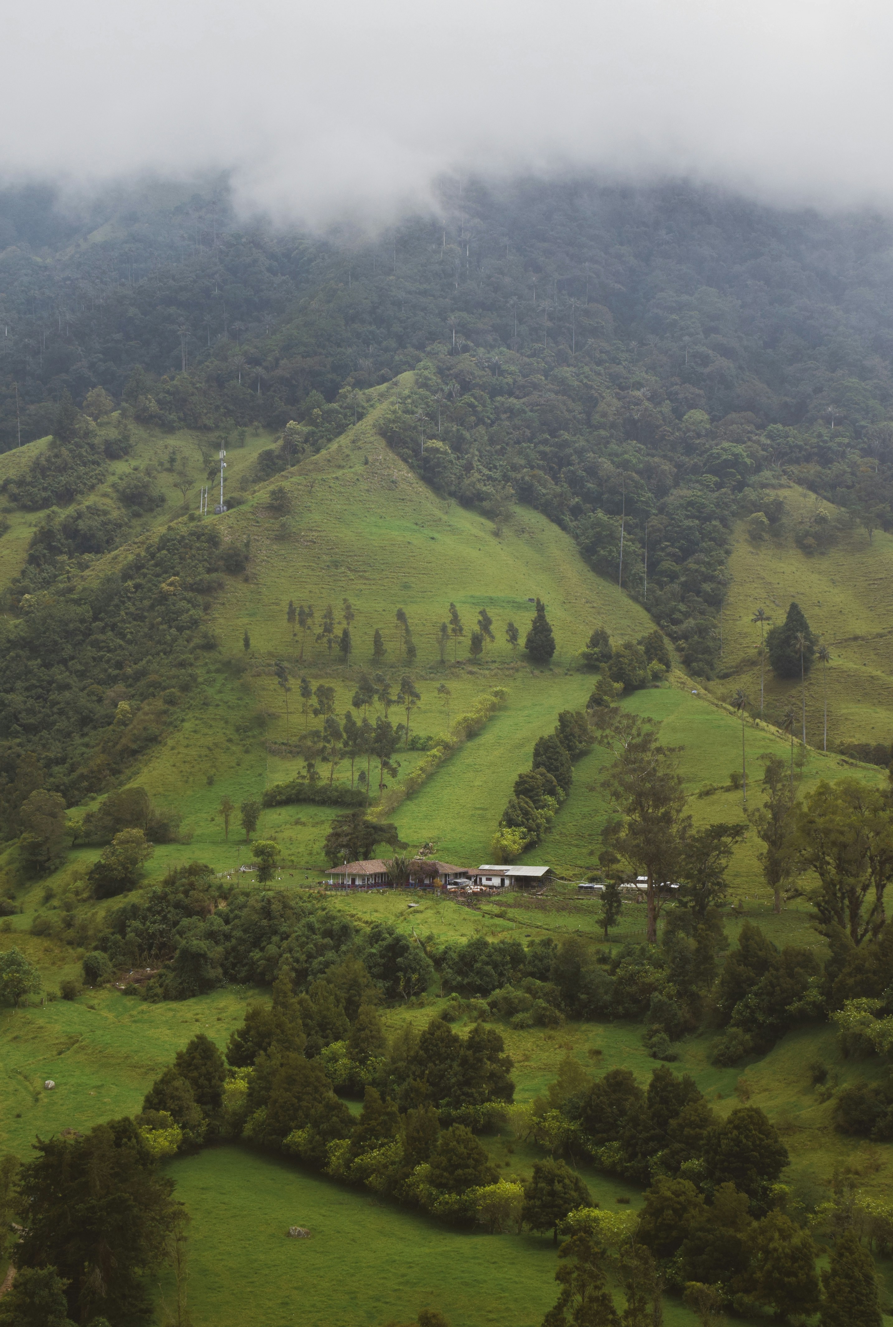 Pasture Steps into Fog: Terraced Hillsides Beneath a Cloud-veiled Ridge