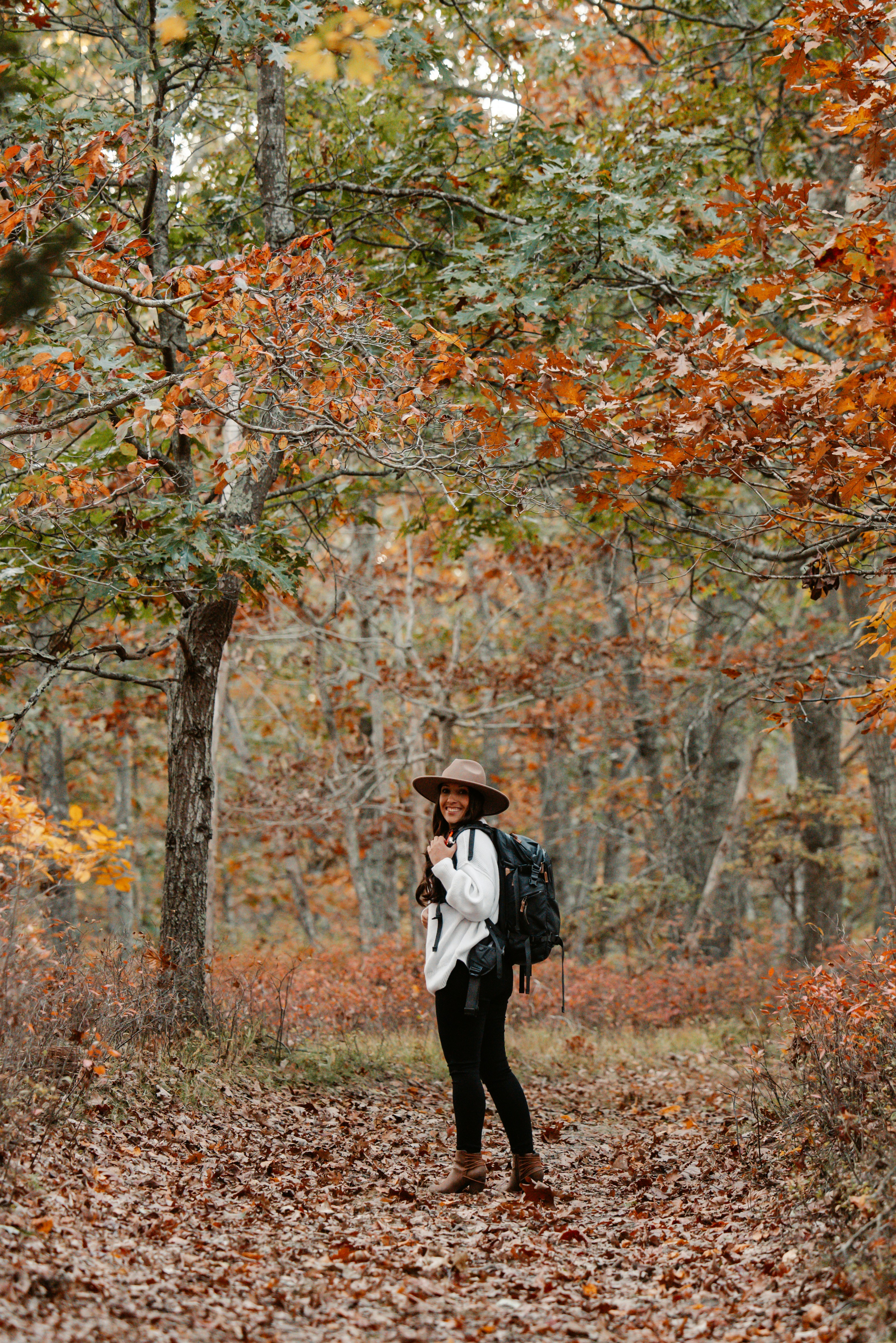 Autumn Trailwanderer: A Backpacker Amid Orange Leaves