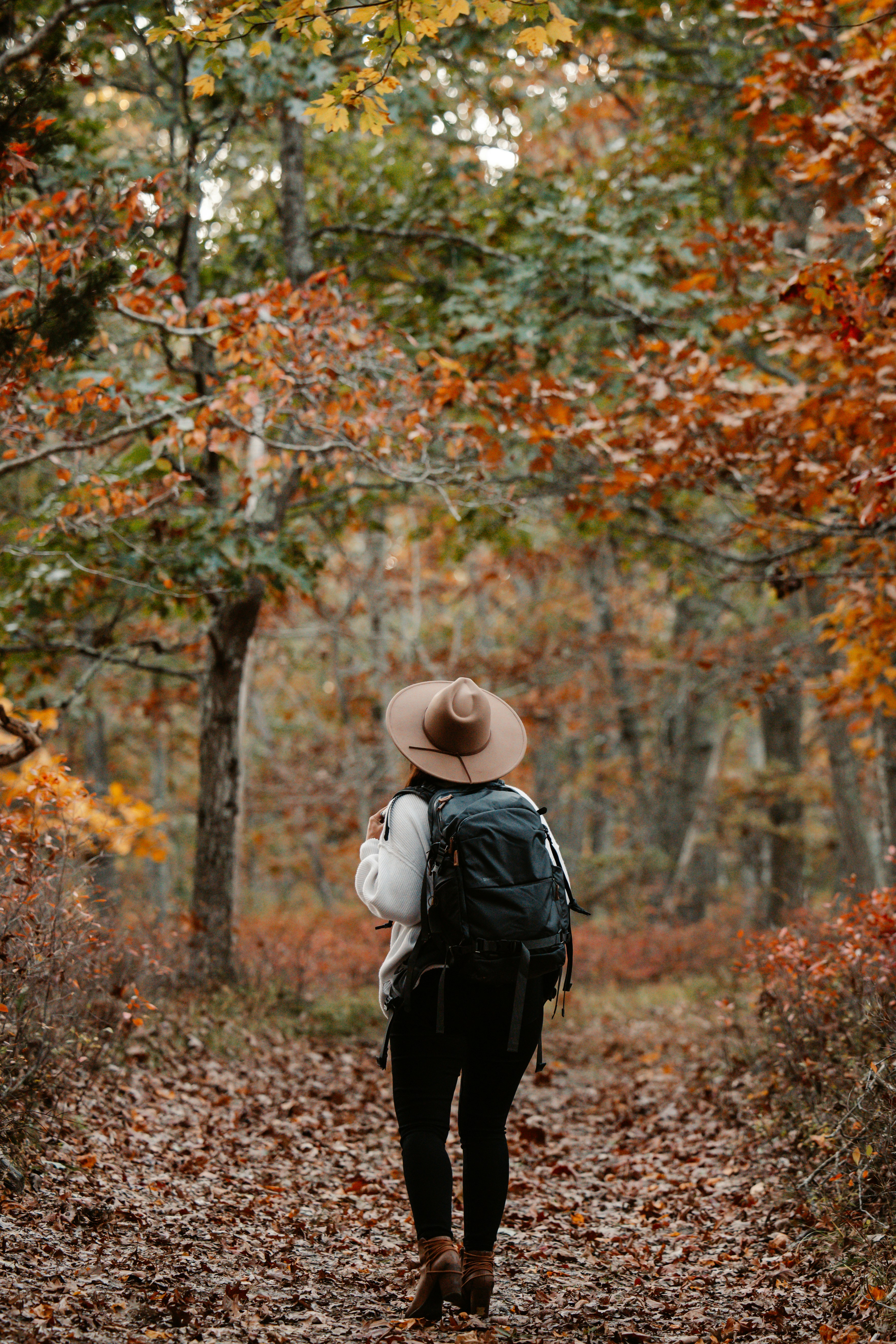 Autumn Trail Traveler: A Backpacker in a Fall Forest