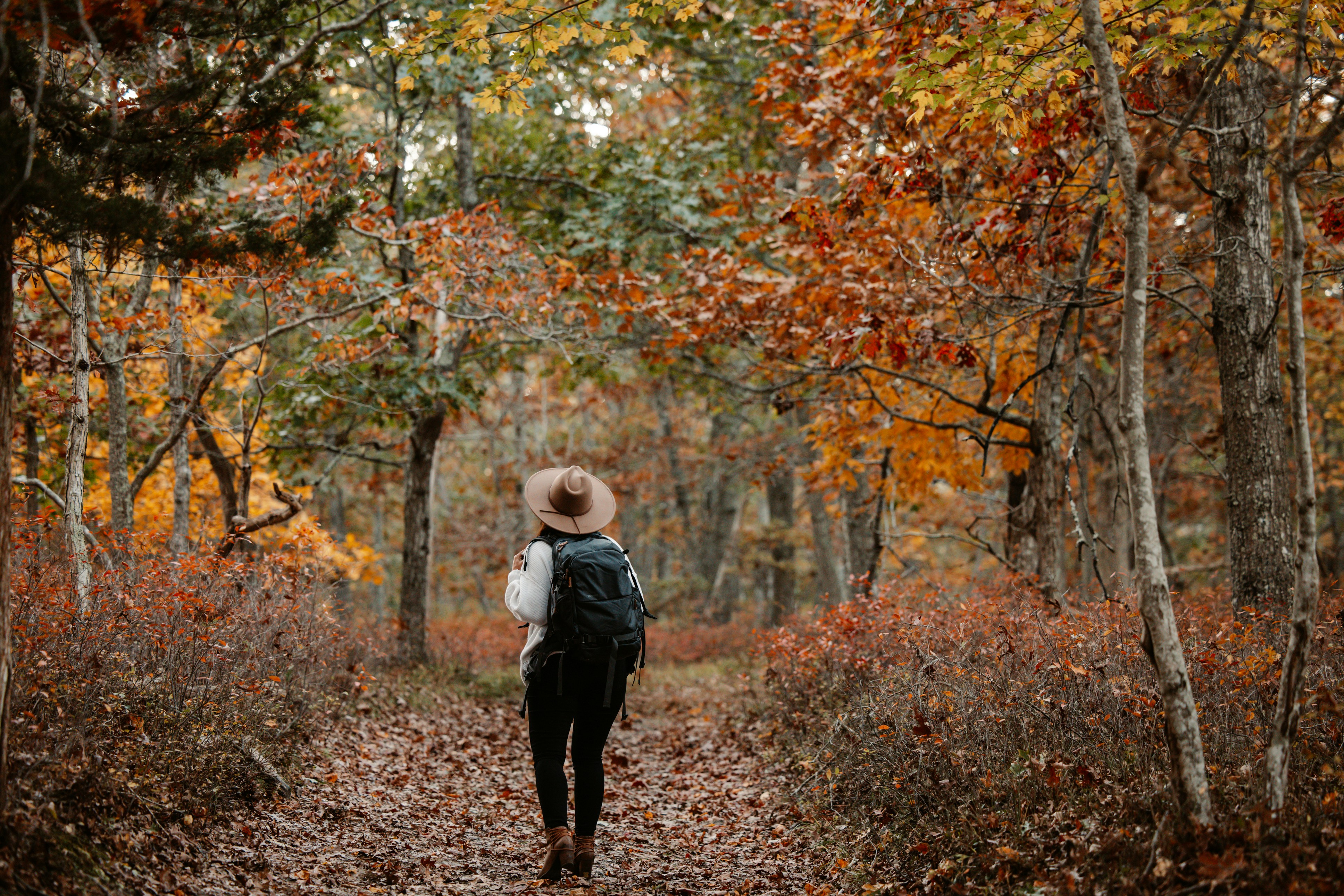 Autumn Trail: A Backpacker Steps Into the Orange Corridor