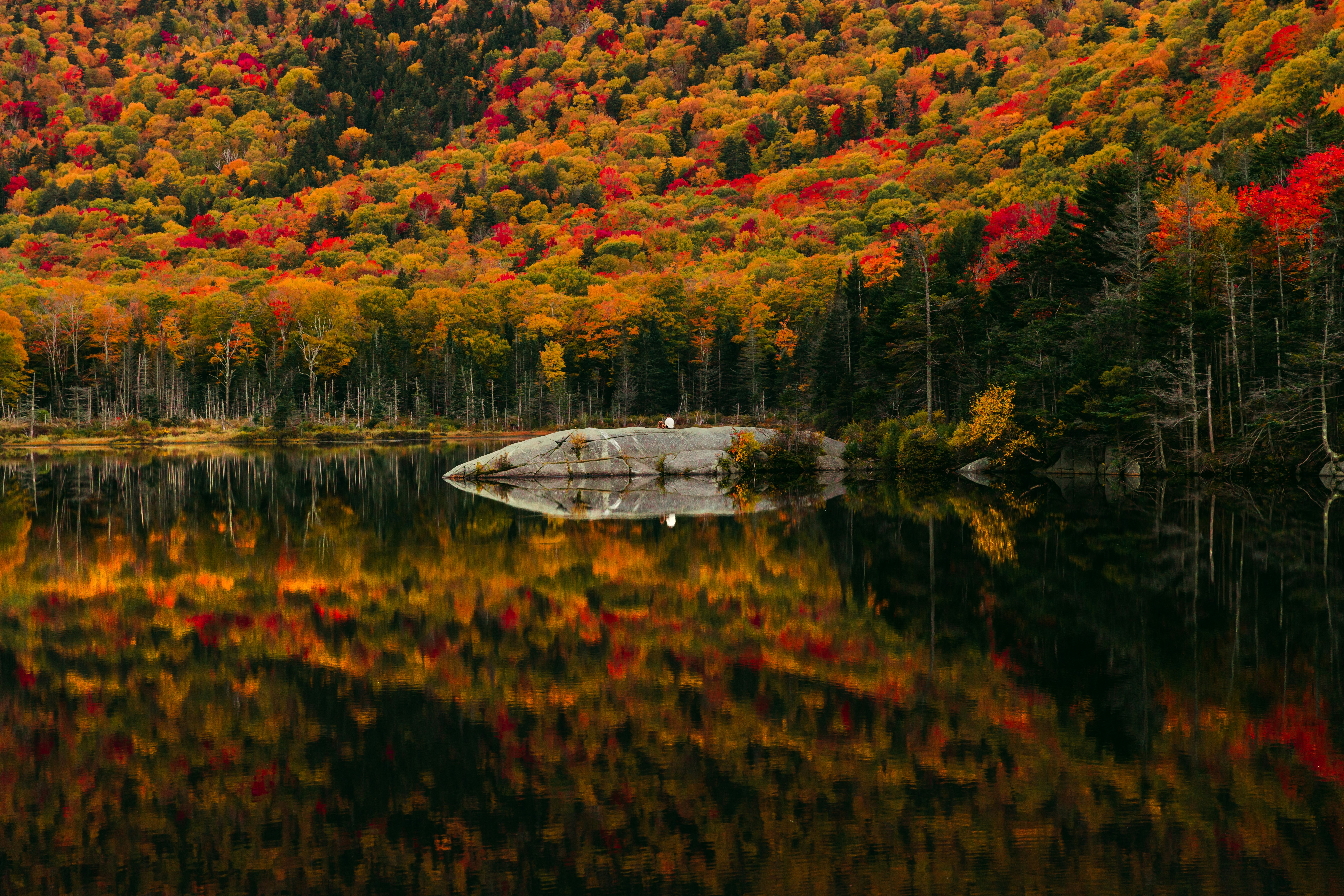 Autumn Reflections: A Silent Lake Bordered by Fiery Forest