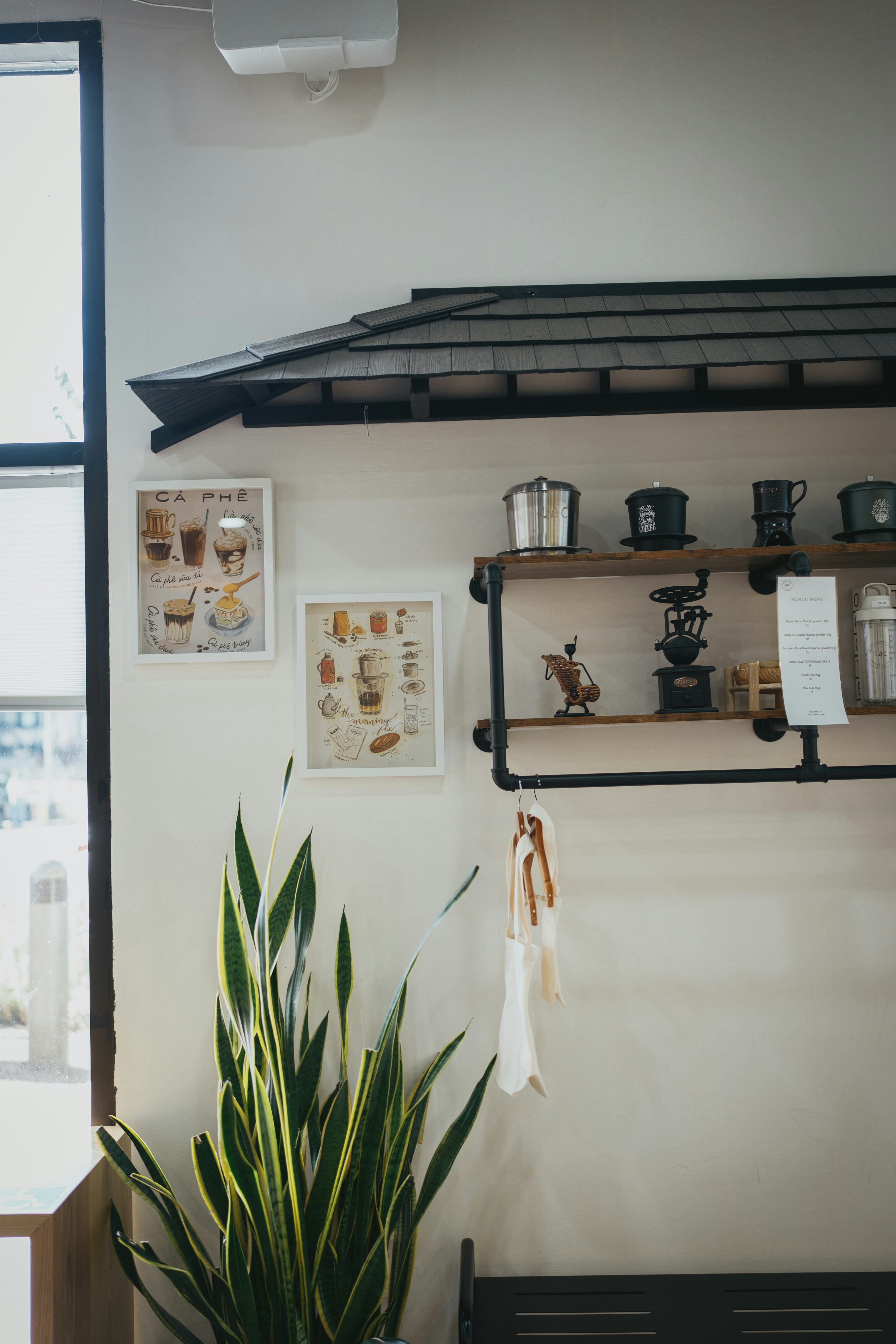 Inside Café Calm: Shelves, Plants, and a Quiet Brew Scene