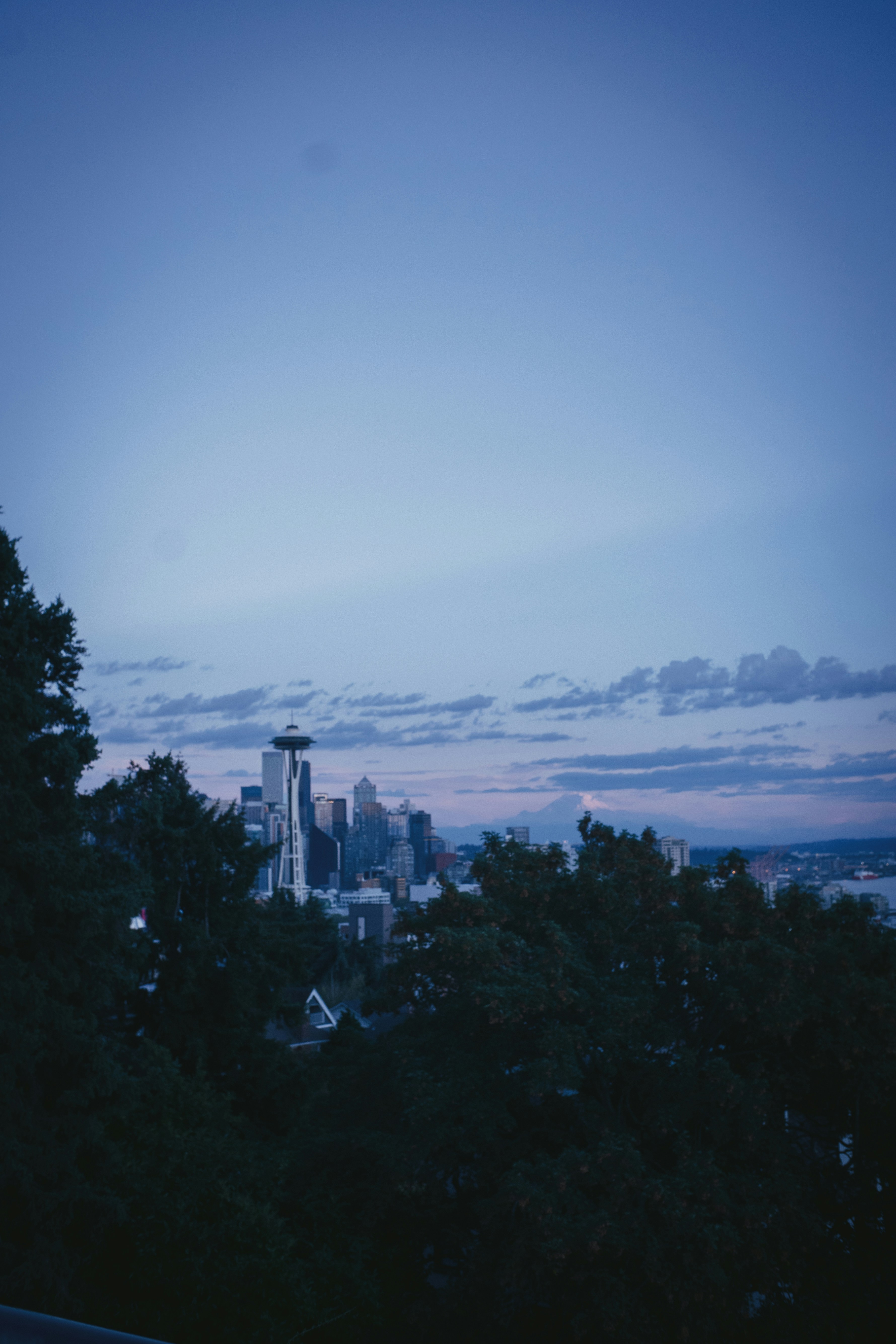 Dusk Over the Emerald City: Skyline Beyond the Pines