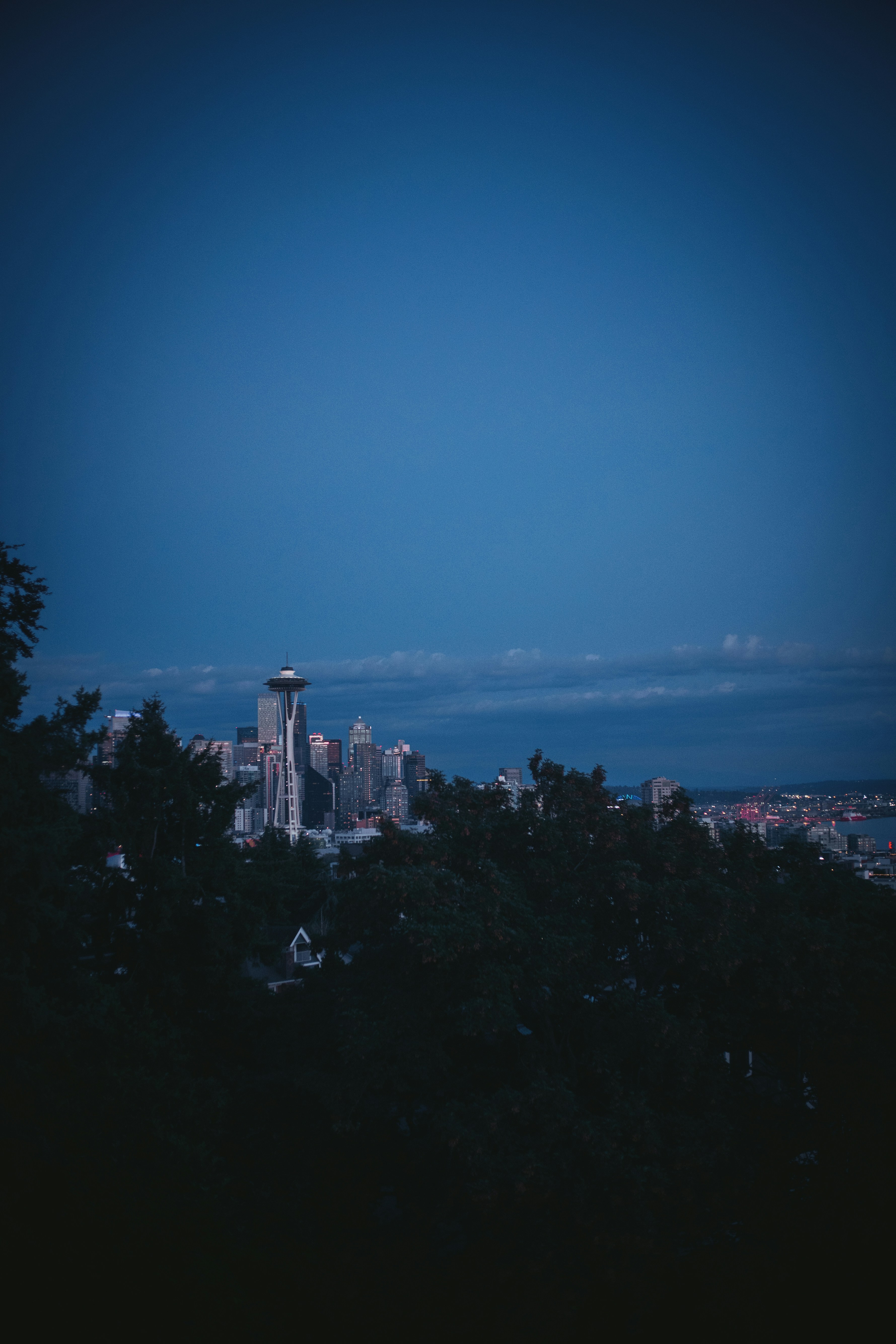 City Lights Beneath a Velvet Sky