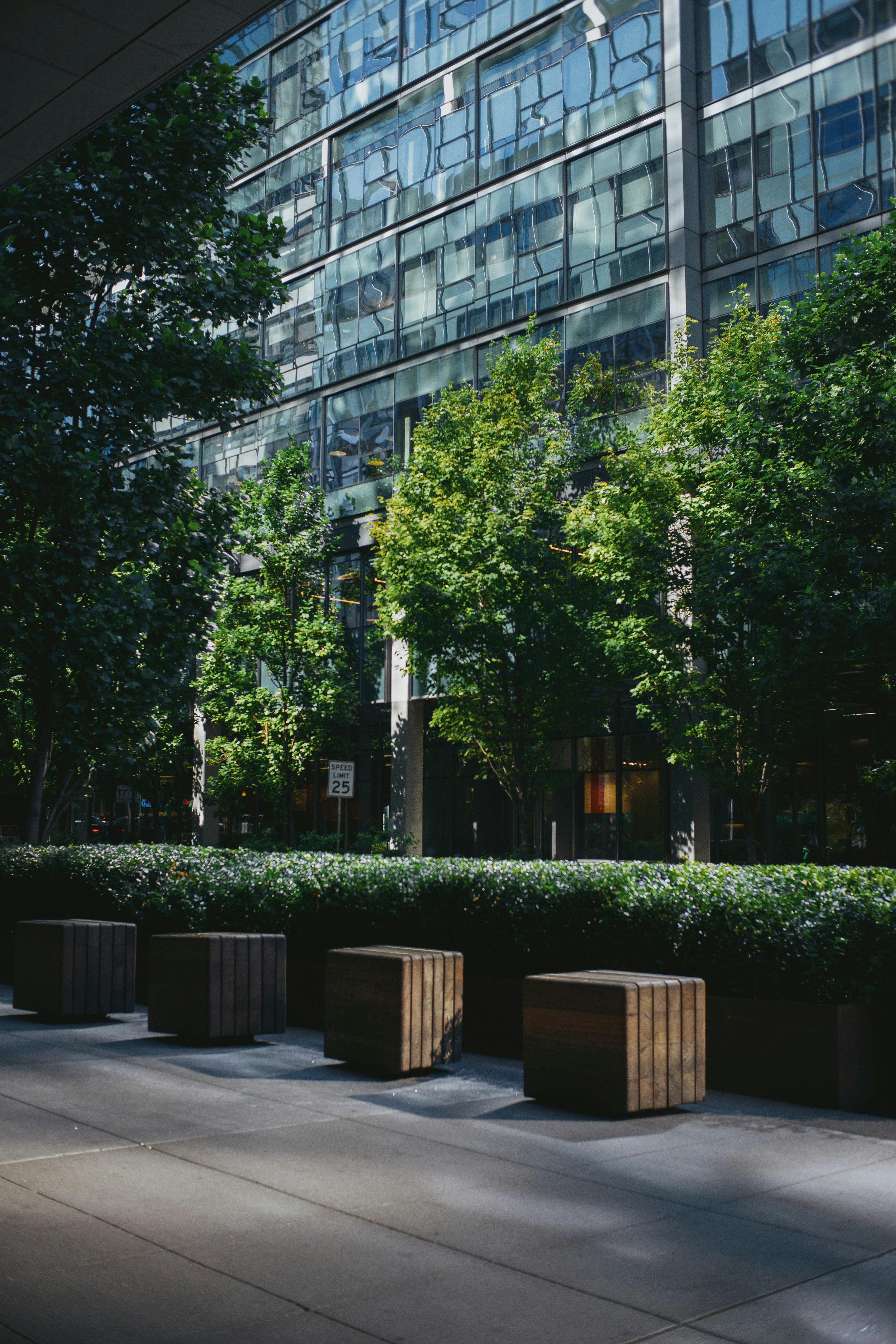 Urban Canopy: Trees Framing a Glass Facade