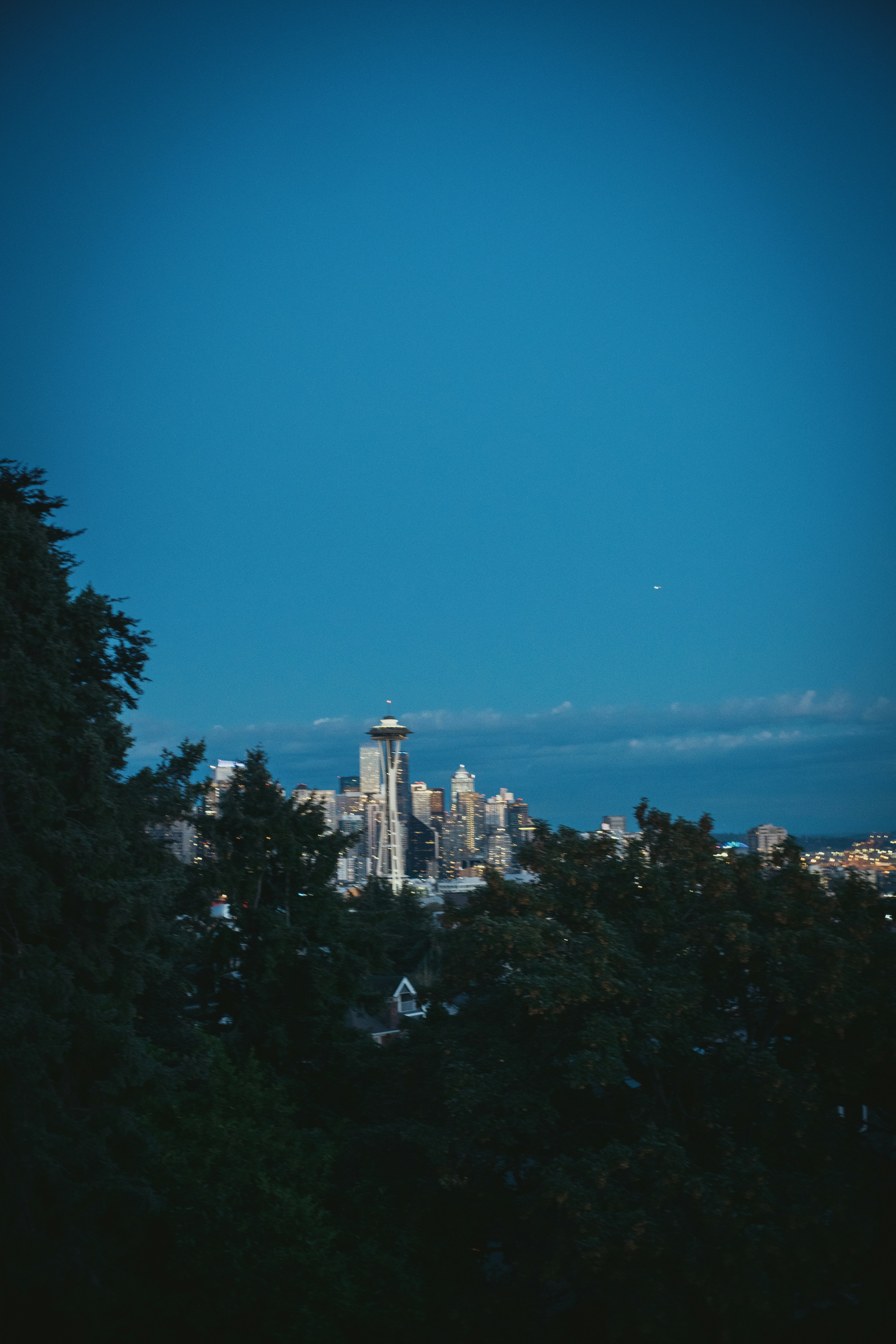 Cityscape Rising Above The Trees at Dusk