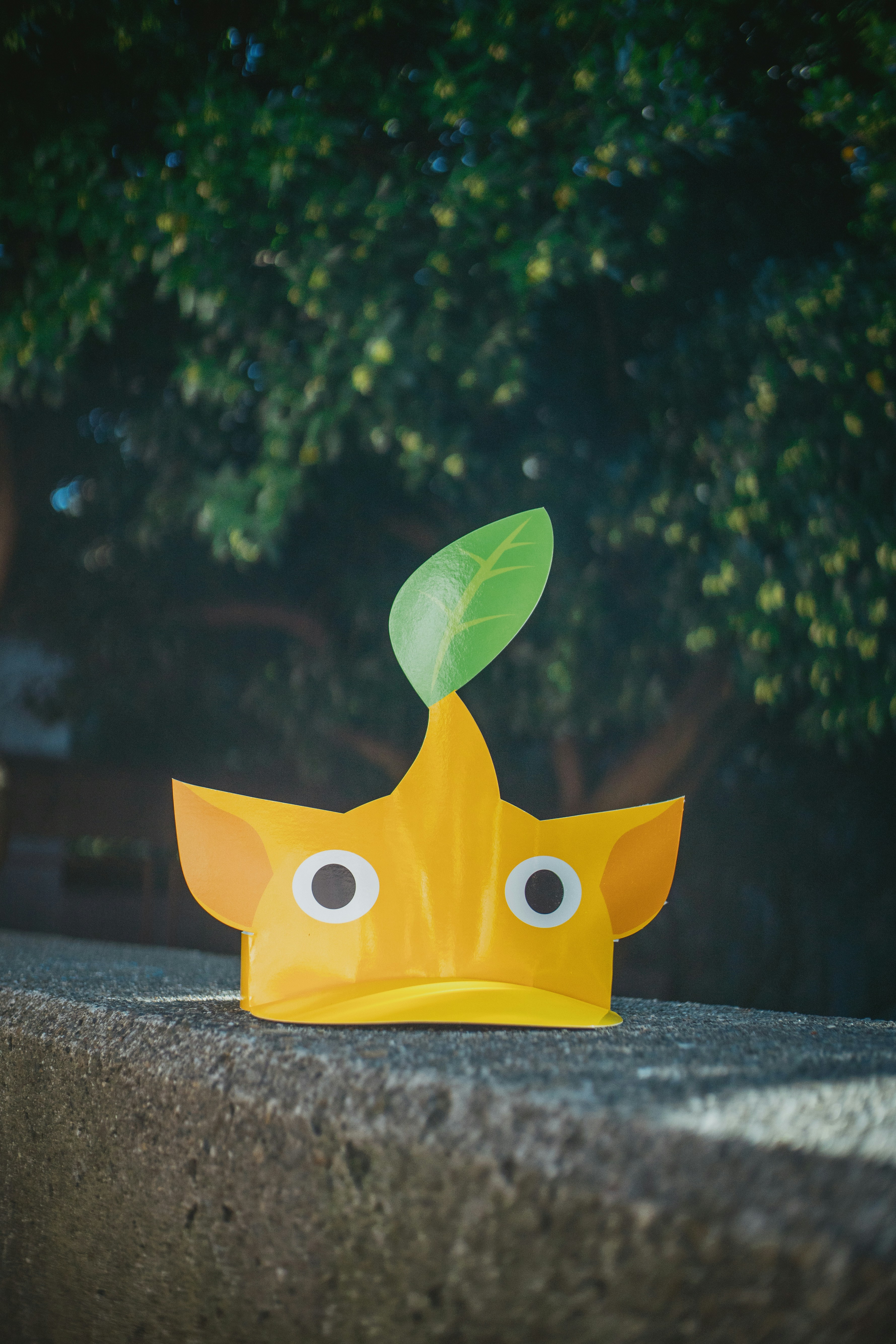 Brightly Orange Crown with Wide-Eyed Surprise