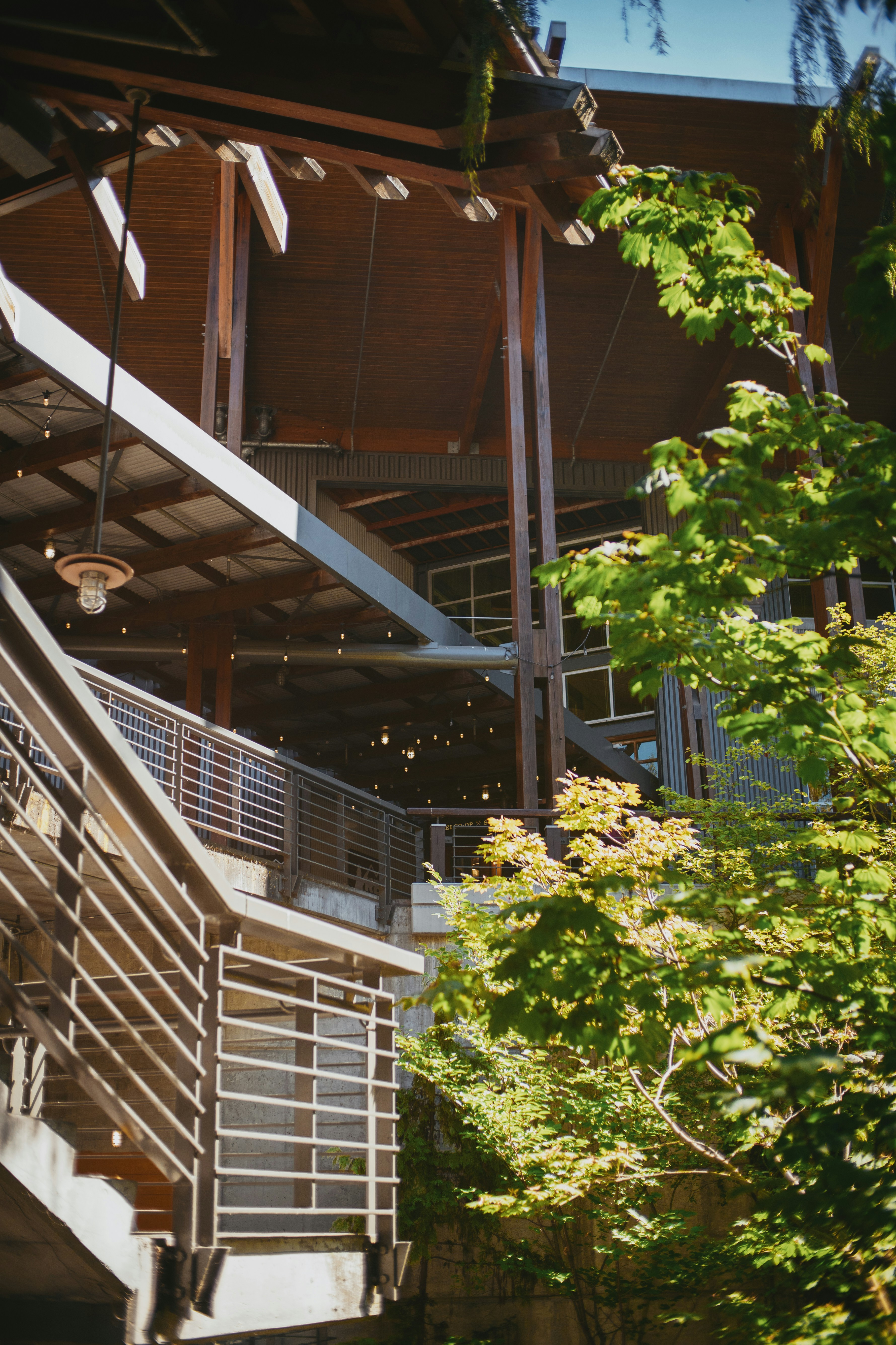 Staircase and Timbered Terrace through Sunlit Foliage