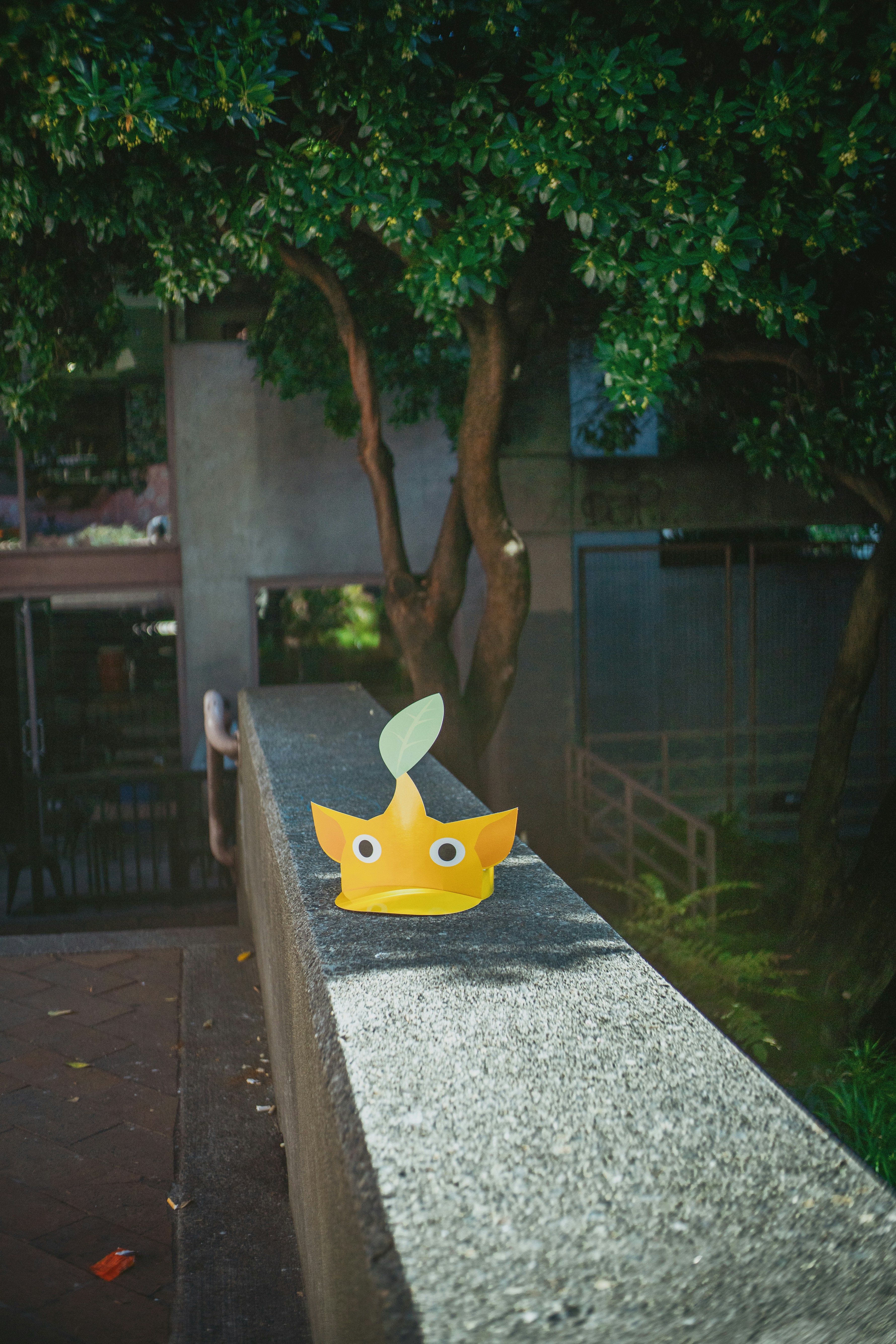 Tiny Sun on the Concrete Rail