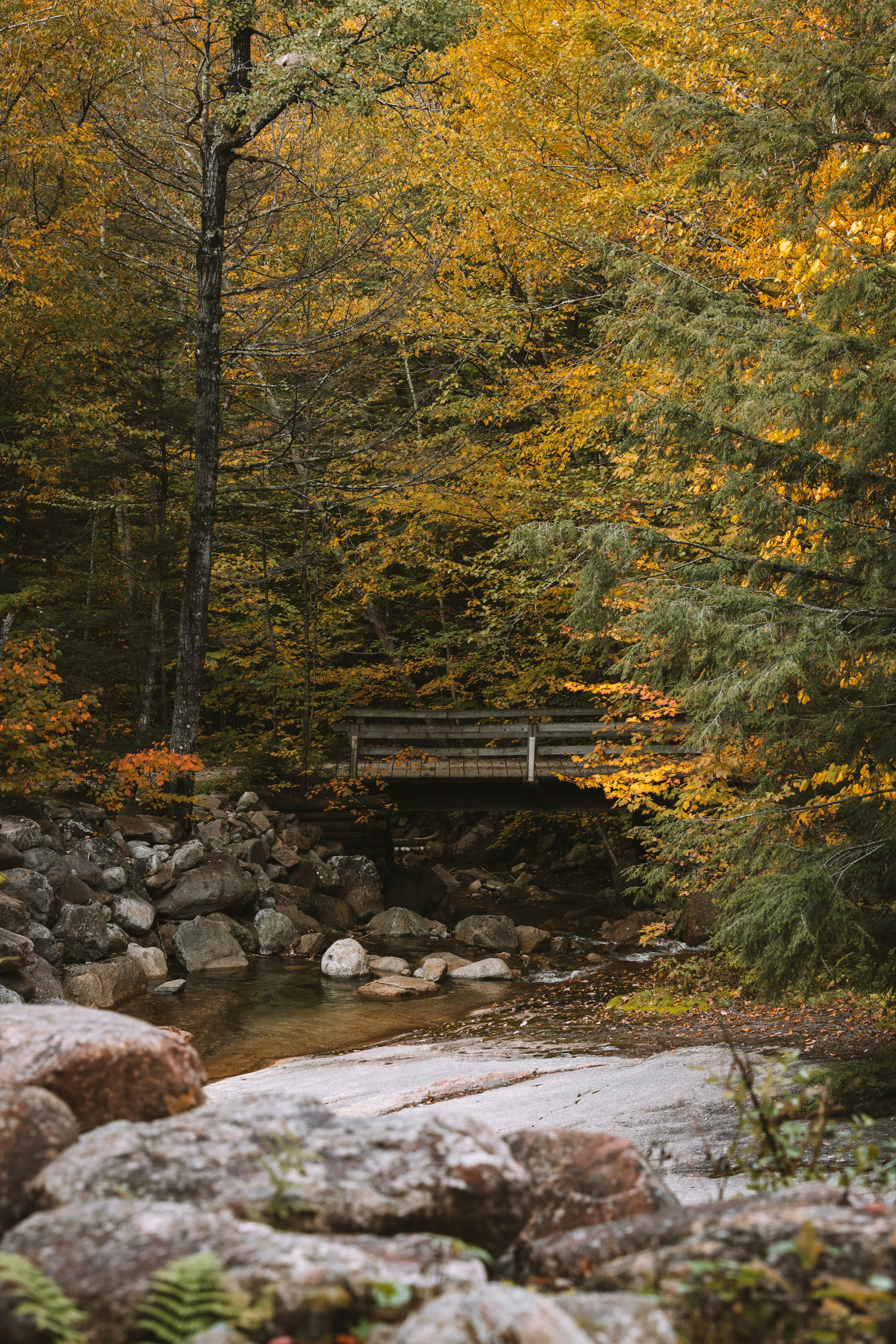 Autumnal forest scene with orange and yellow foliage, a calm stream, and a wooden footbridge framed by rocks and trees.