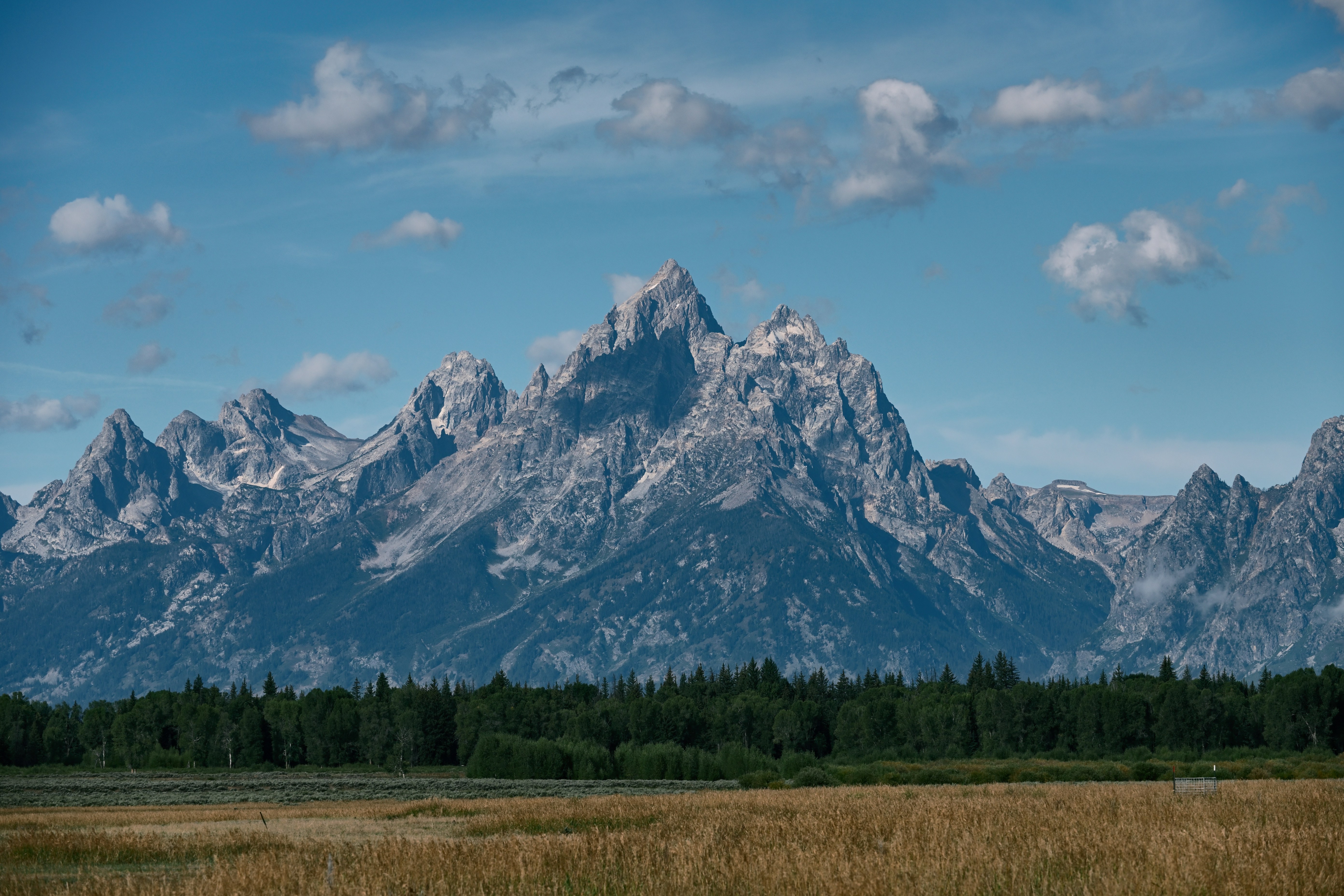 Snow-capped mountains rise over a flat, grassy plain with a line of forest at the base; expansive sky with scattered clouds fills the frame. A landscape photo capturing distant ranges and open foreground.