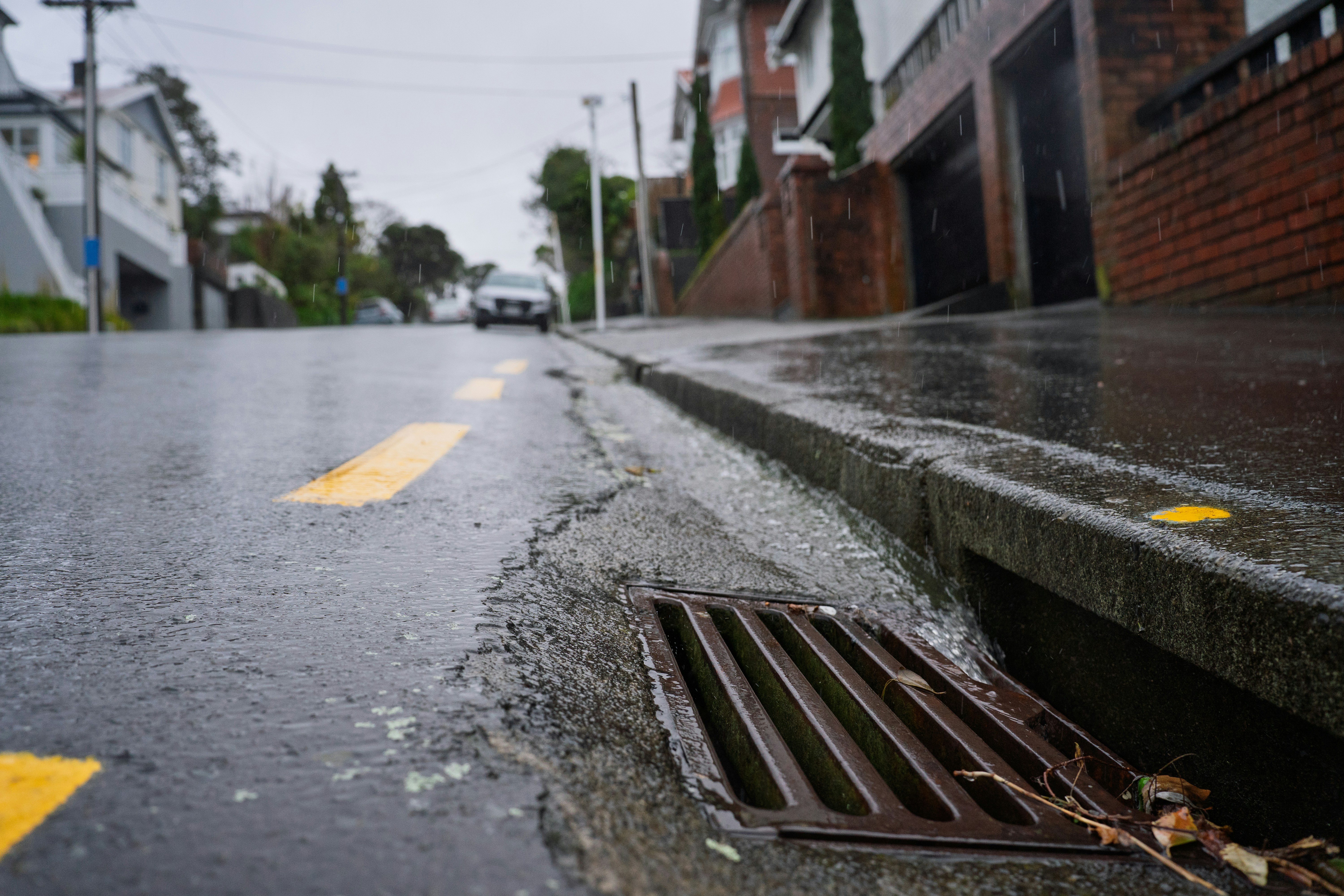 Urban Rain: The Gutter Grates and Wet Street Leading to a Quiet Horizon