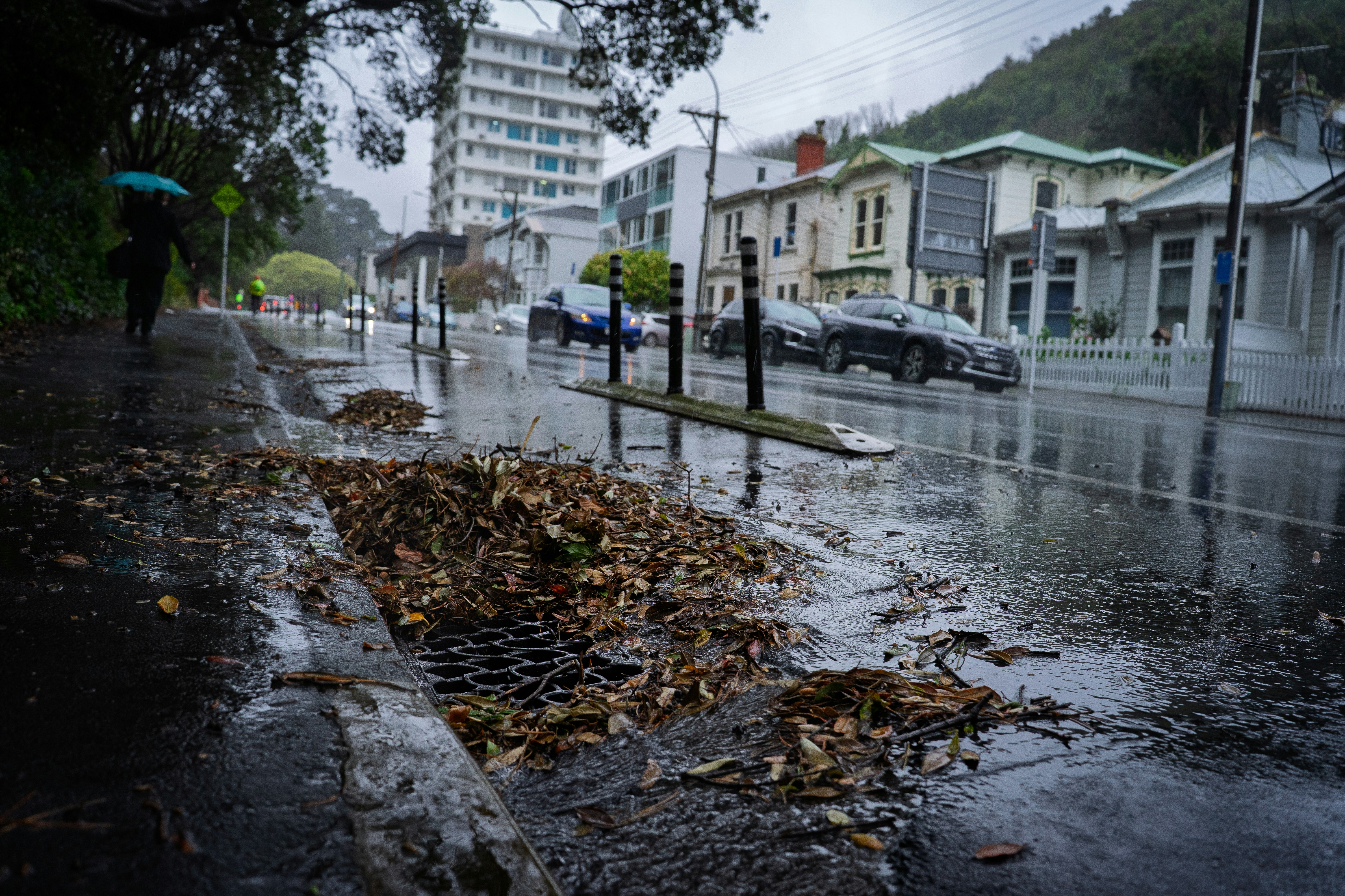 Rain-Slicked Street Awakening: Leaves in the Street After a Downpour