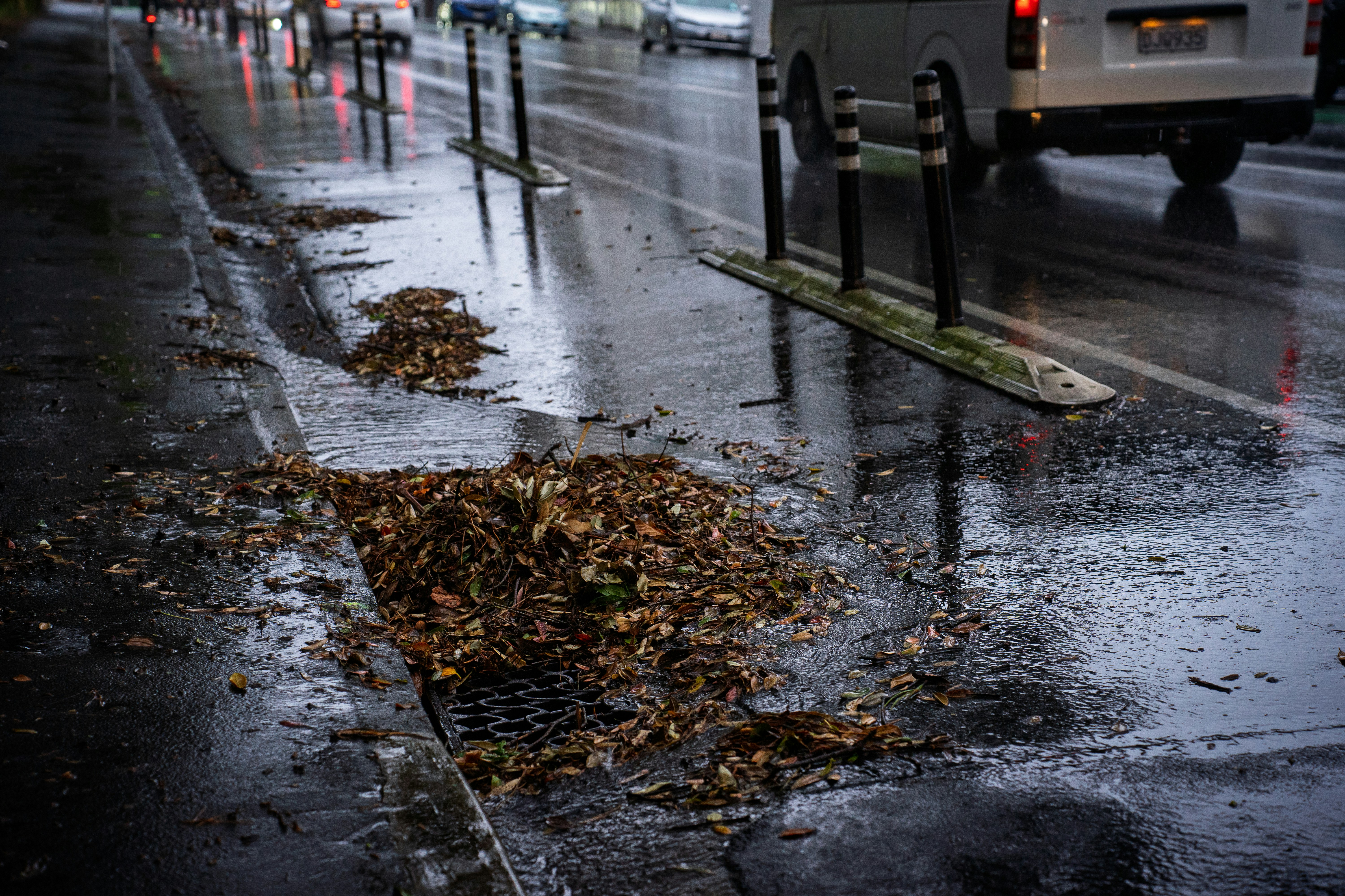 Glossy wet street with fallen leaves gathered along the curb, reflections from passing traffic, and a parked bike barrier in the background. A moody urban scene emphasizing texture and puddles.