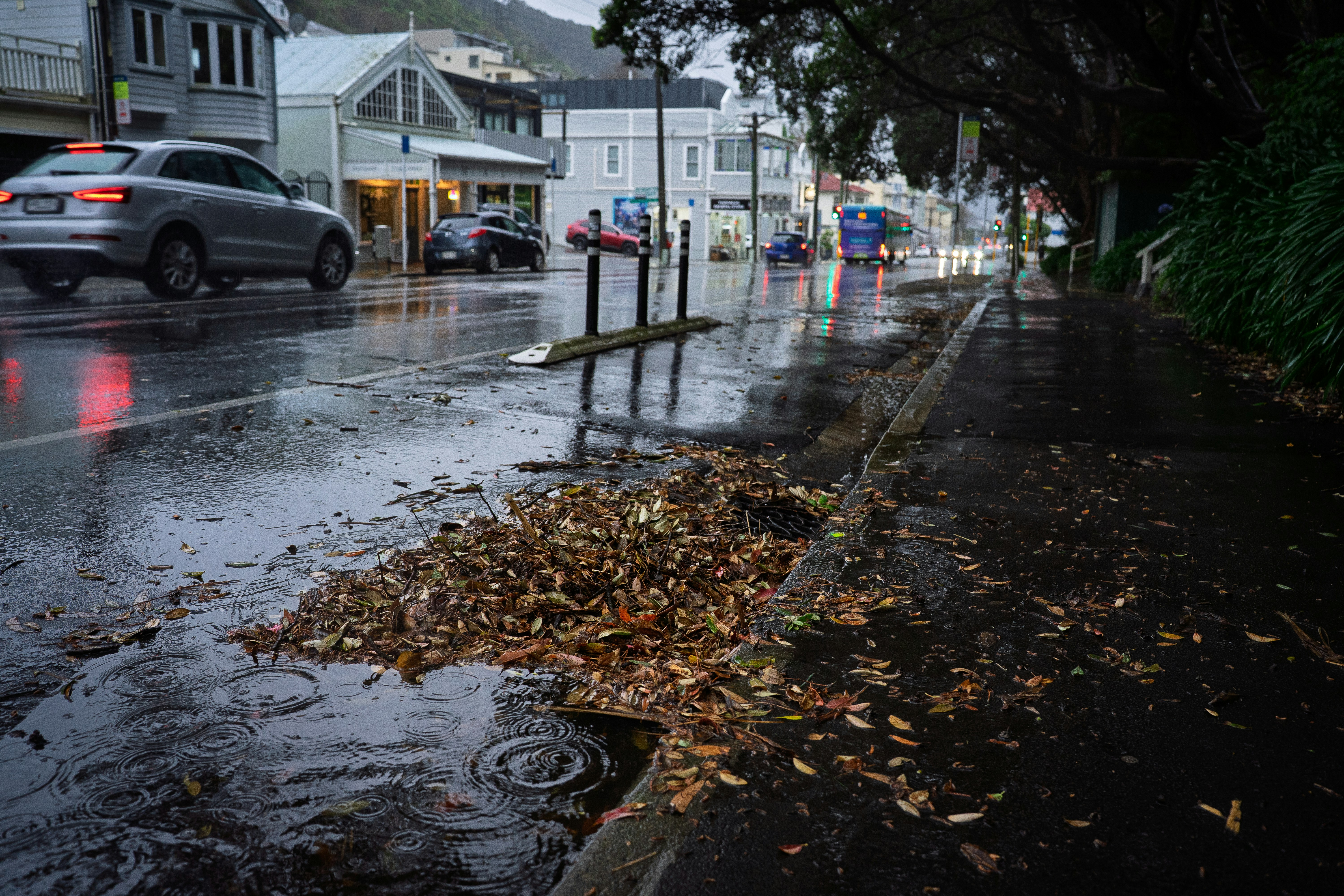 Rain-Washed Main Street: Puddles, Leaves, and Moving Lights