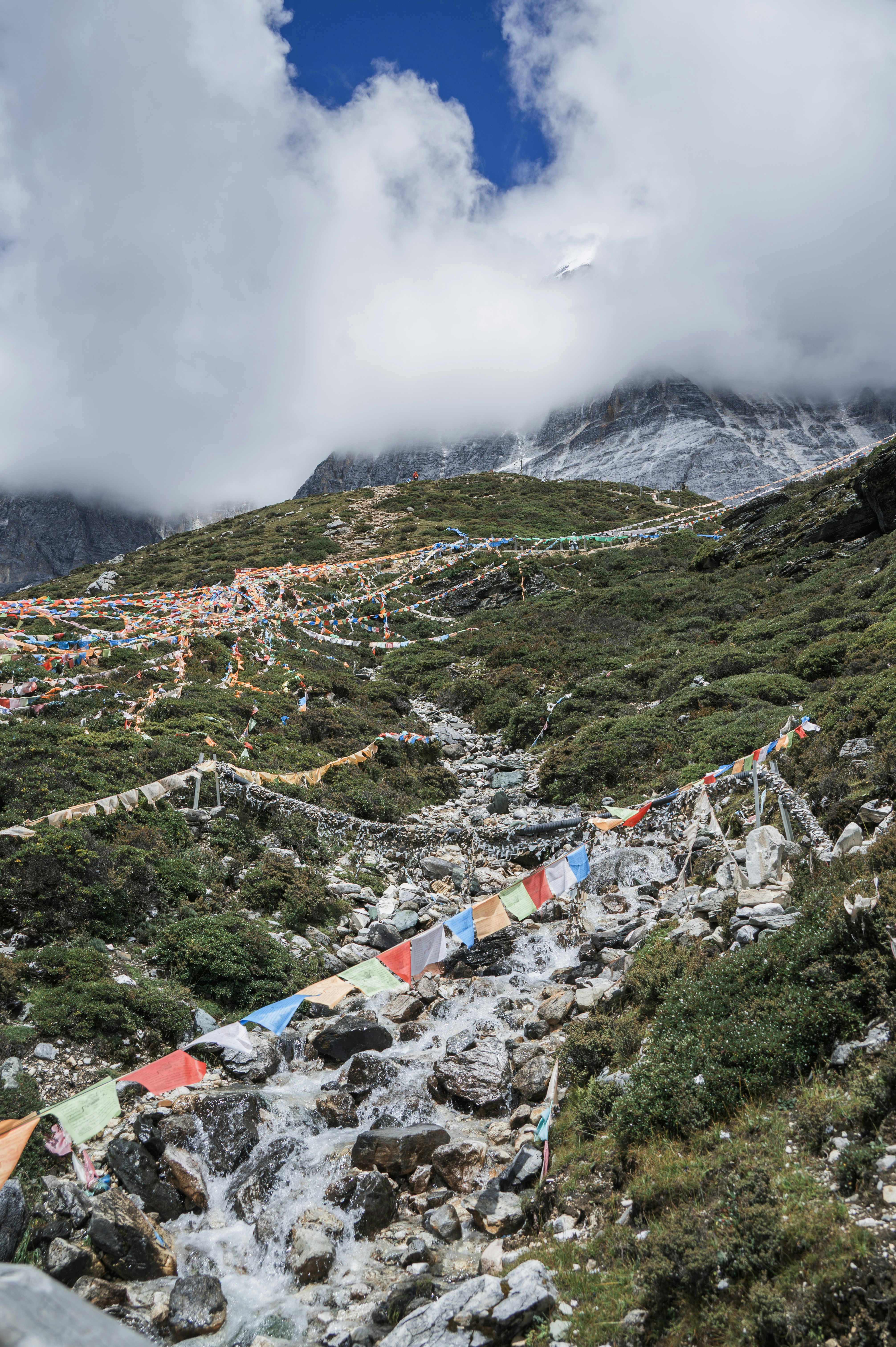 Prayer Flags Rippling Across a Mountain Stream