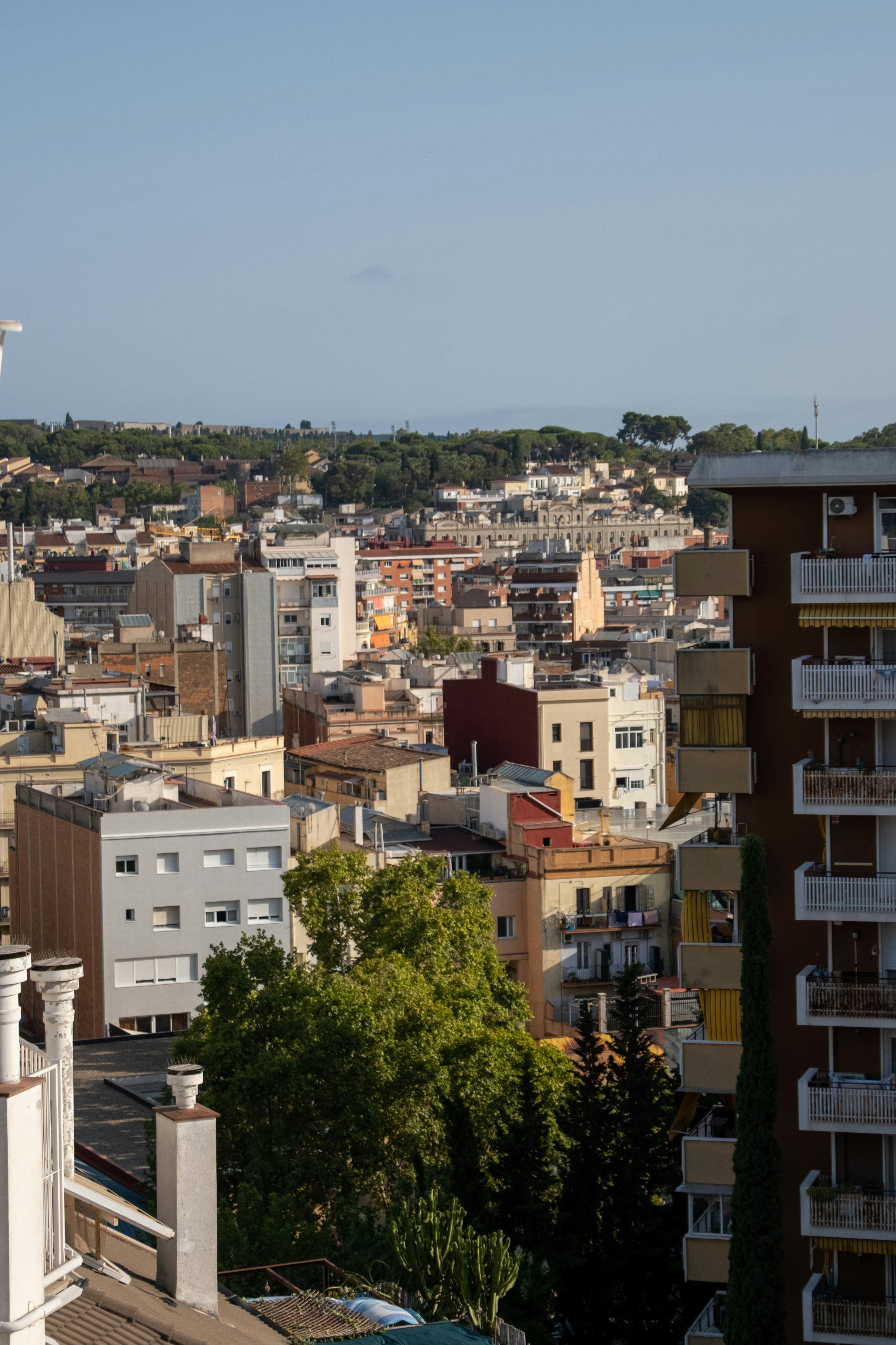 Sunlit Urban Tapestry: Balconies, Trees, and Rooftops Under a Clear Sky