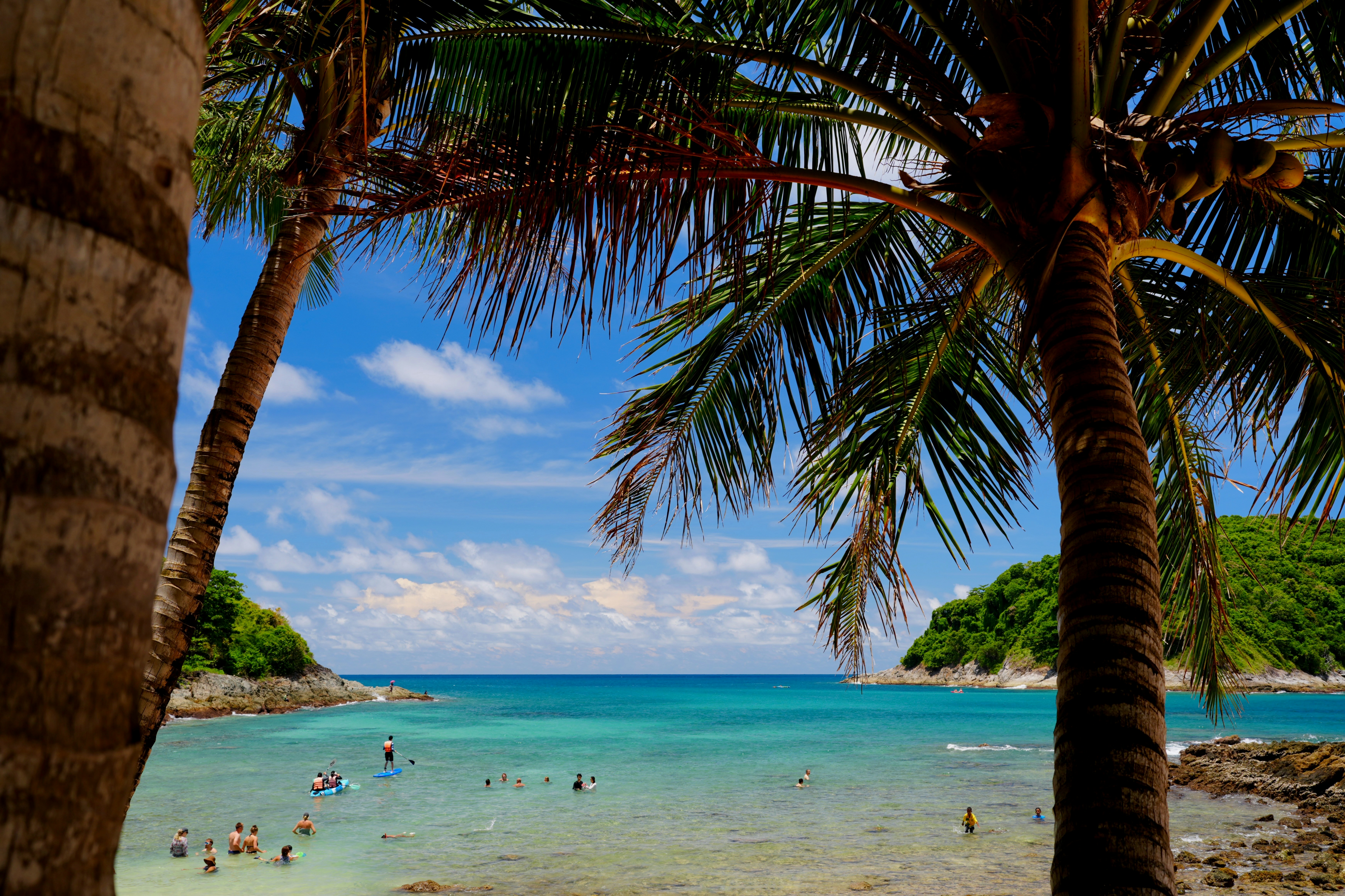 Sunlit Caribbean Cove: Palm-Framed Beach with Teal Waters