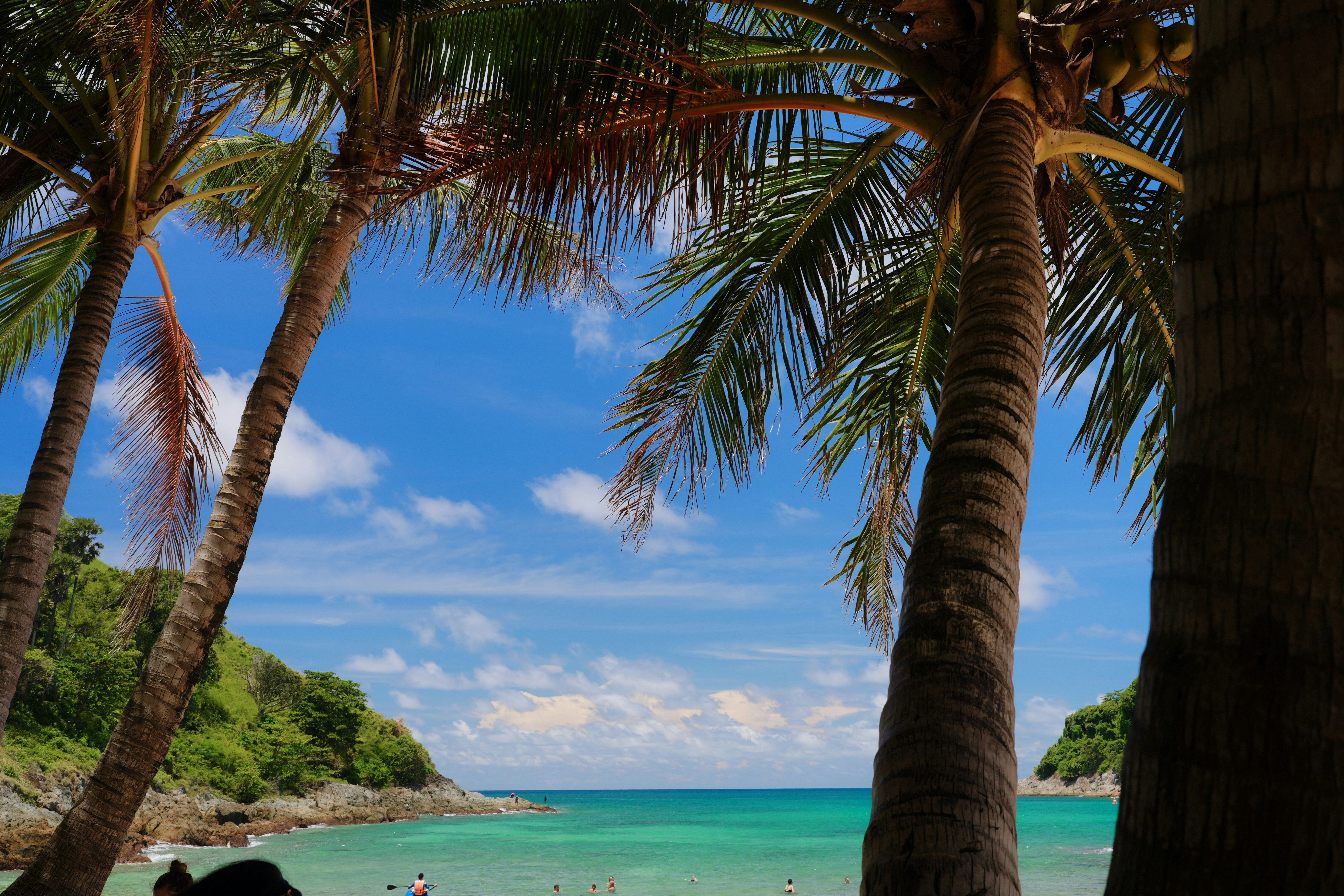 Palm Fronds Framing a Caribbean Sea Oasis
