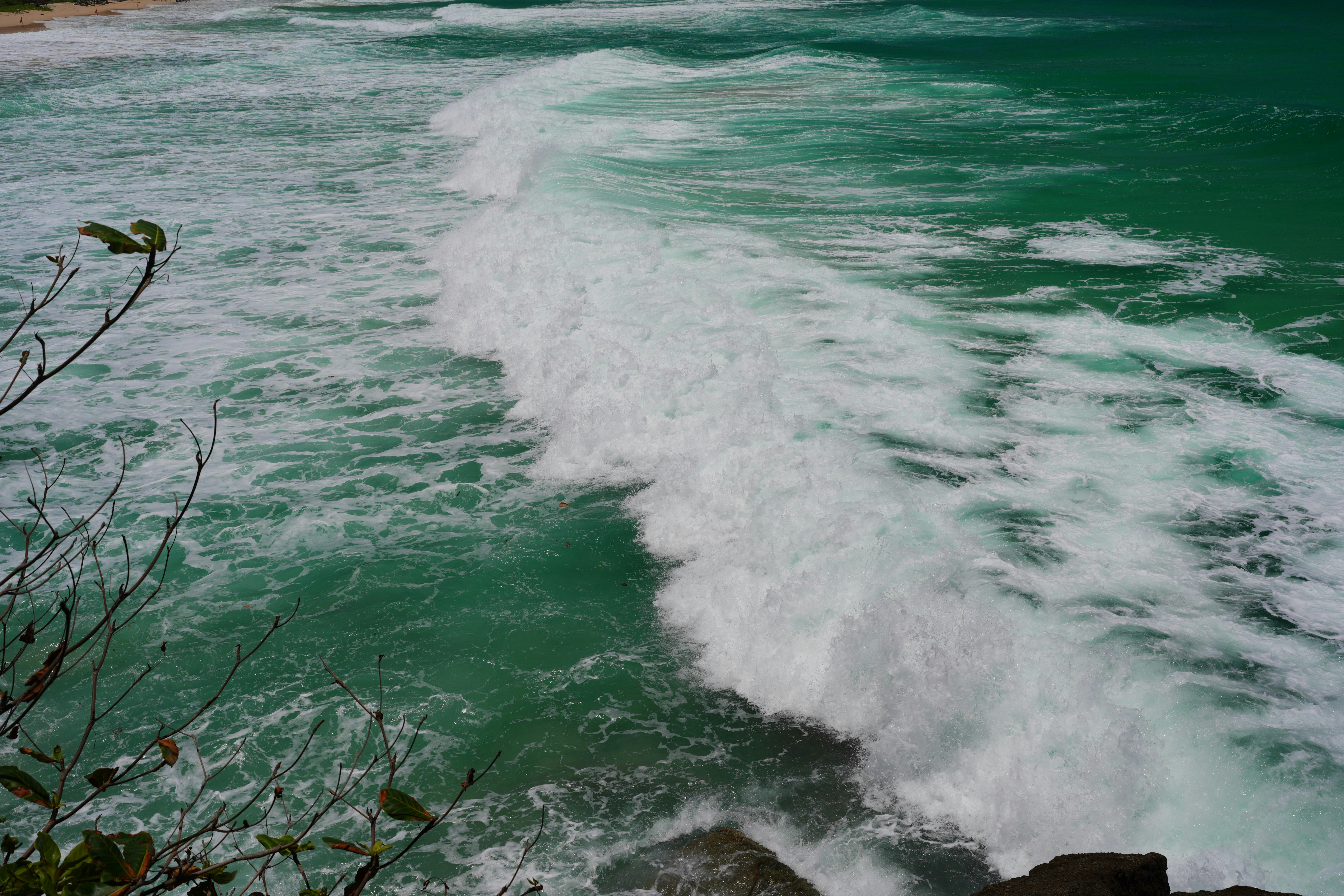 Whispering Crest Along a Turquoise Shore