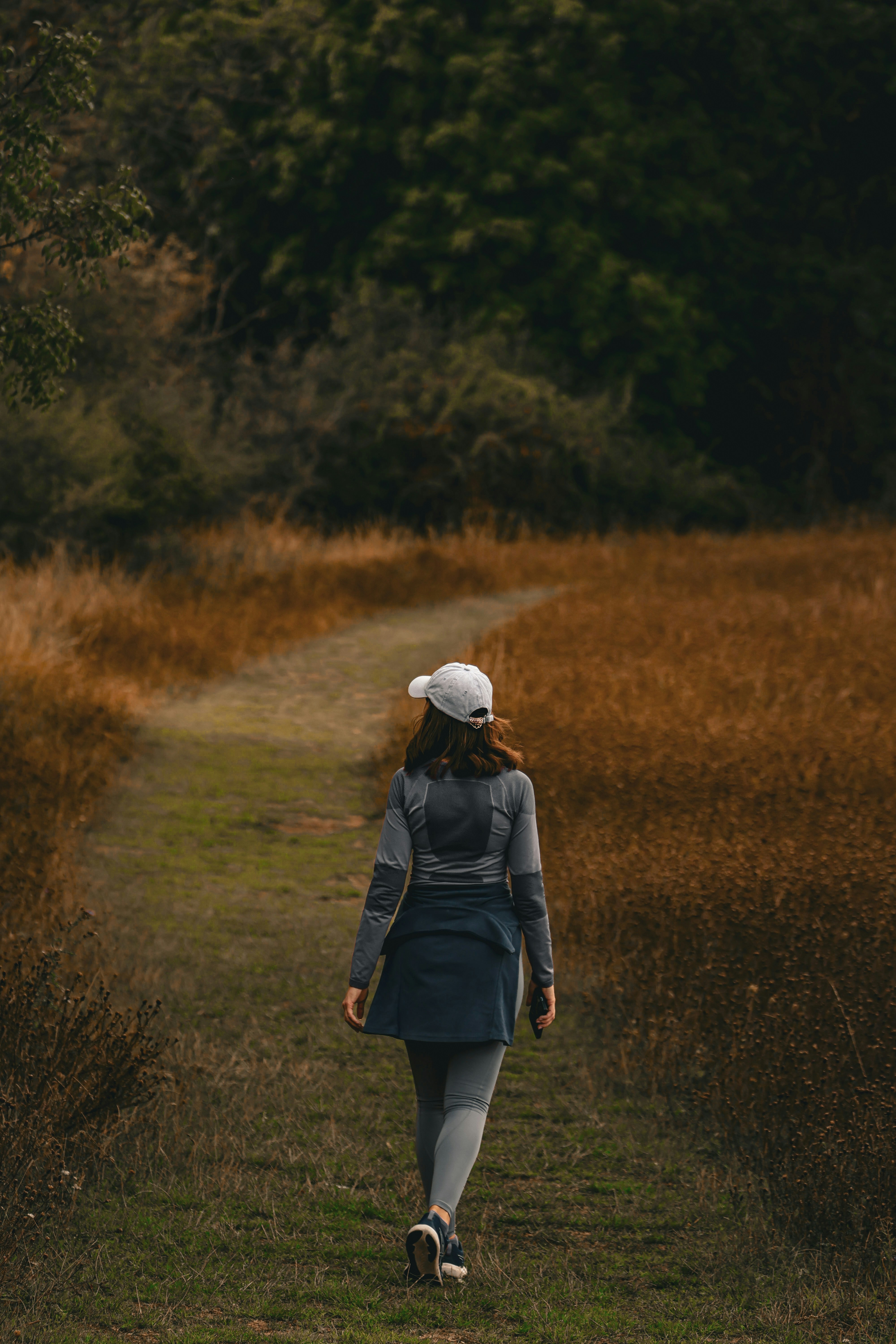 A Quiet Trek: The Path Leads a Figure Through Autumn Light