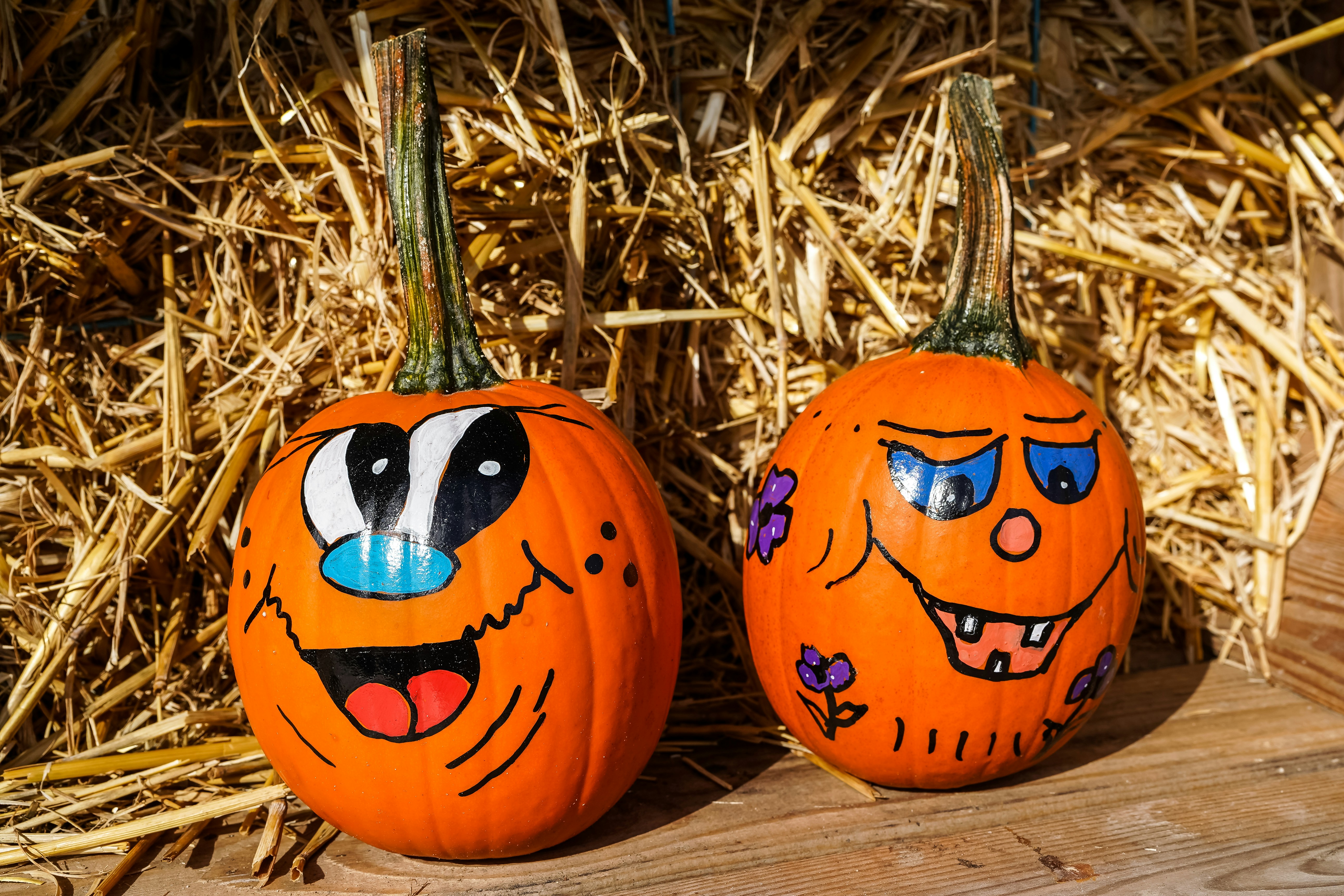 Two Playful Pumpkins Backdropped by Straw Hay