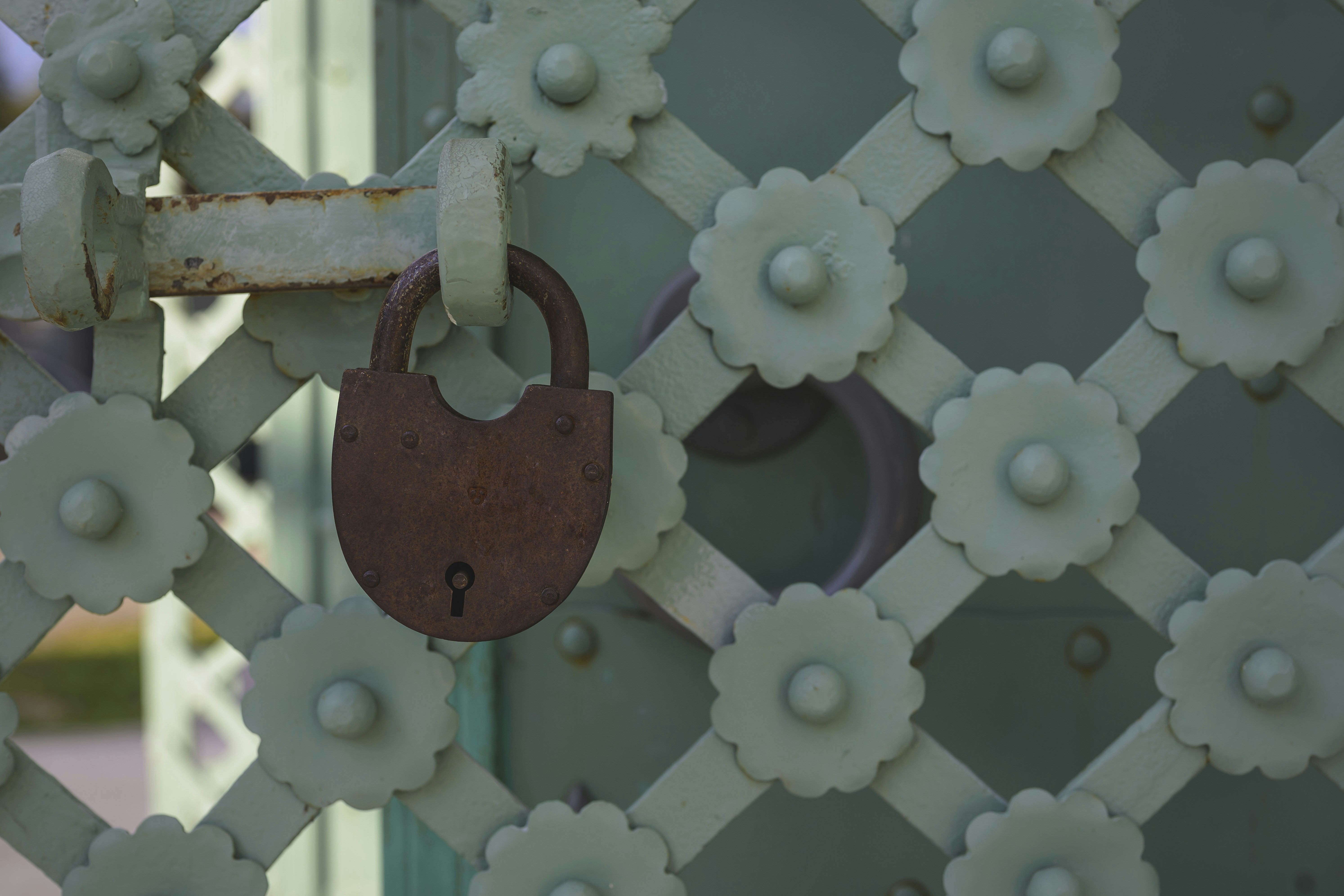 Rusty Padlock on a Mint-green Gate: Quiet Security in Floral Armor