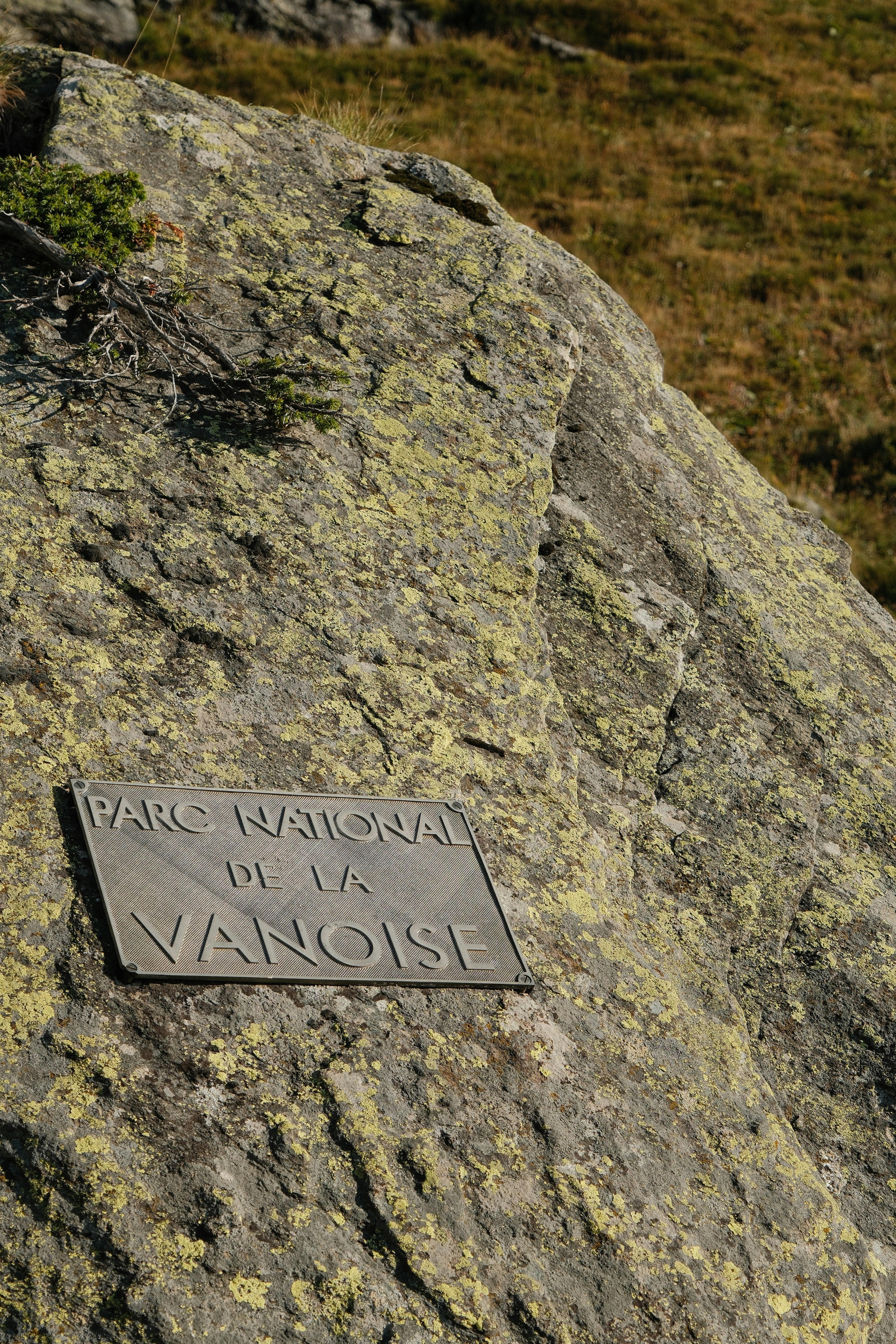 Lichened rock with a commemorative plaque at Parc National de la Vanoise
