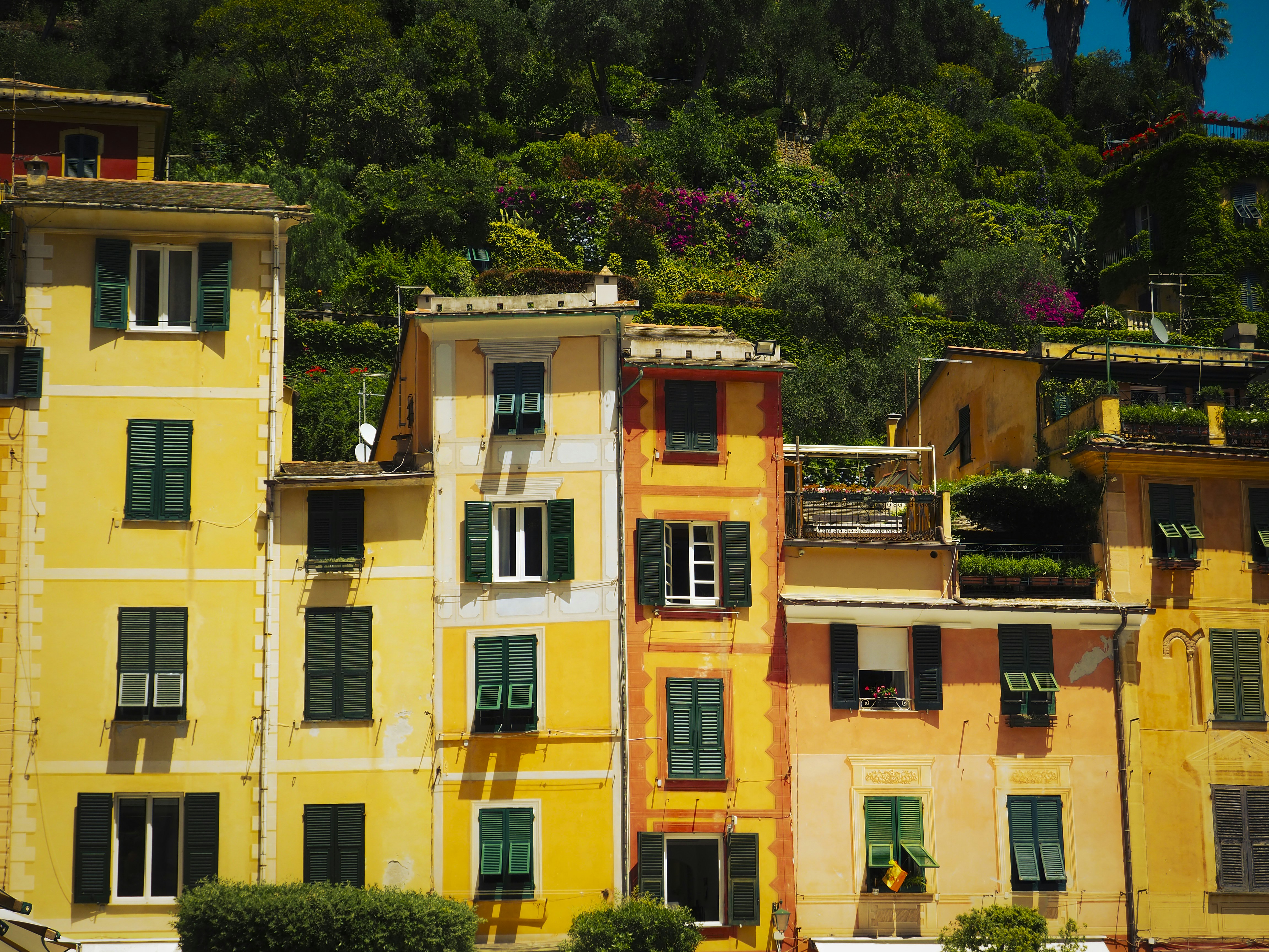 Sunlit Village Facade in a Cascade of Warm Tones