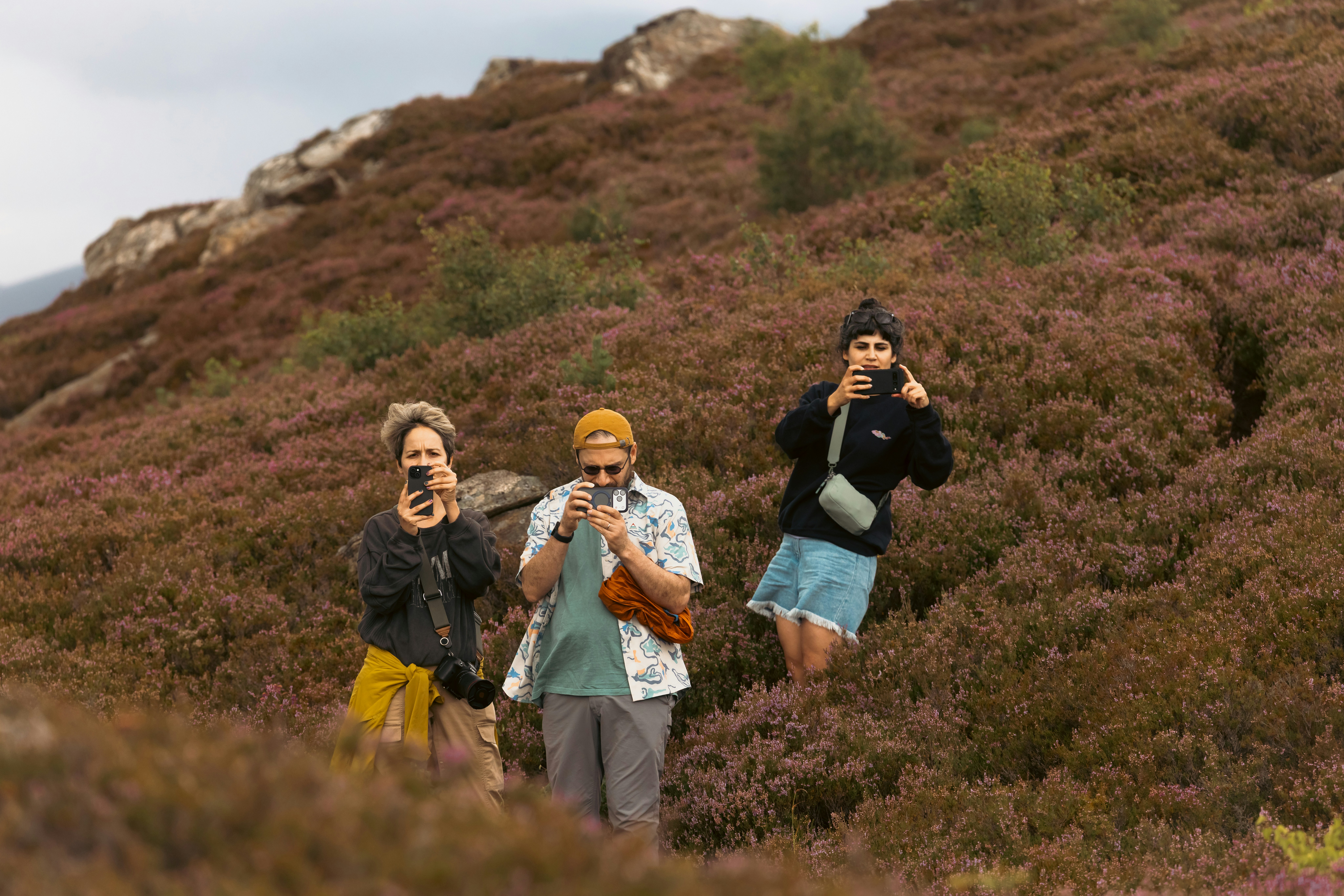 Three Photographers Among Purple Heather on a Sloping Moor