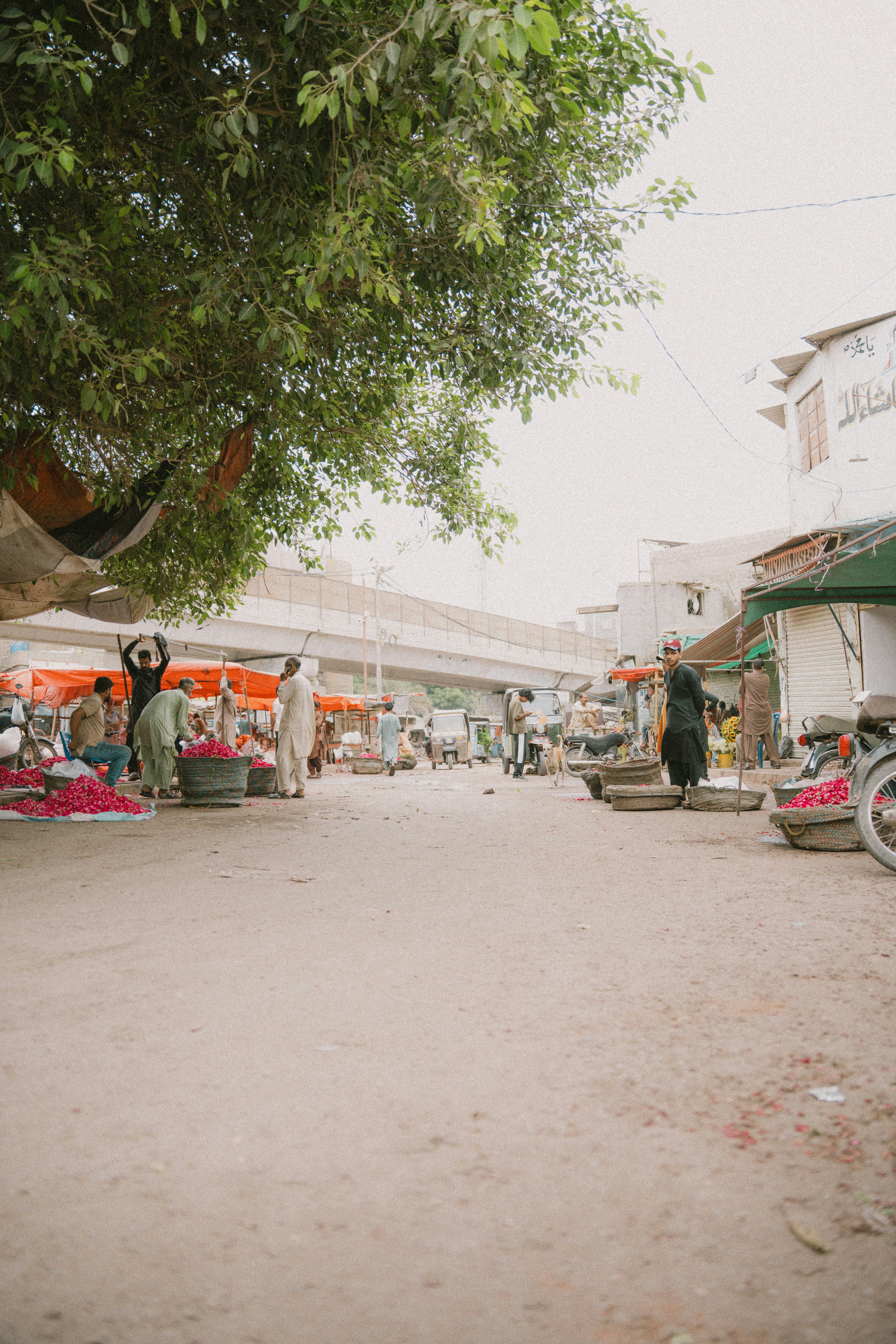 Sunlit Market Lane Beneath a Gracious Canopy
