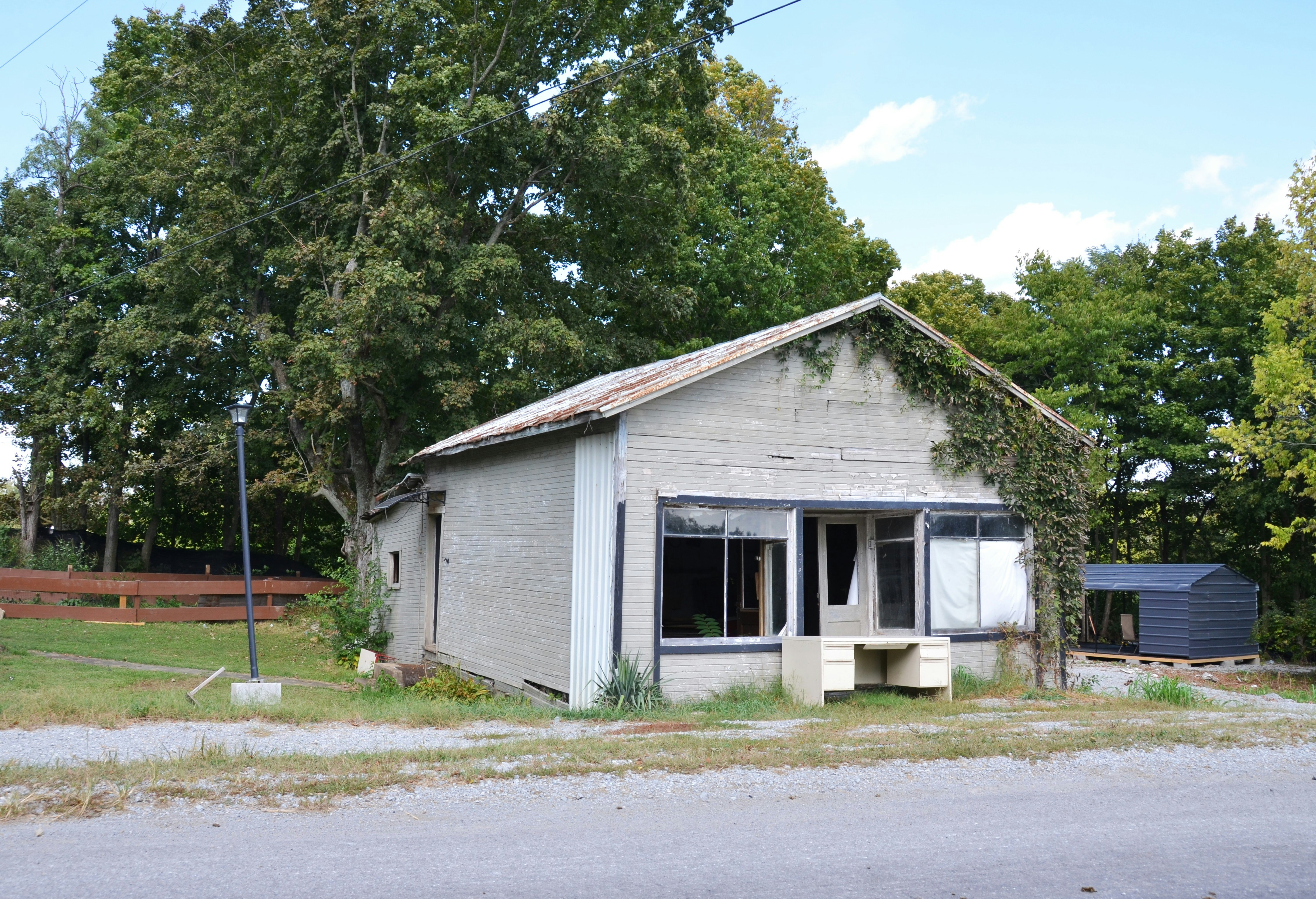 Abandoned Cottage Overgrown with Ivy Under Quiet Tree Canopy