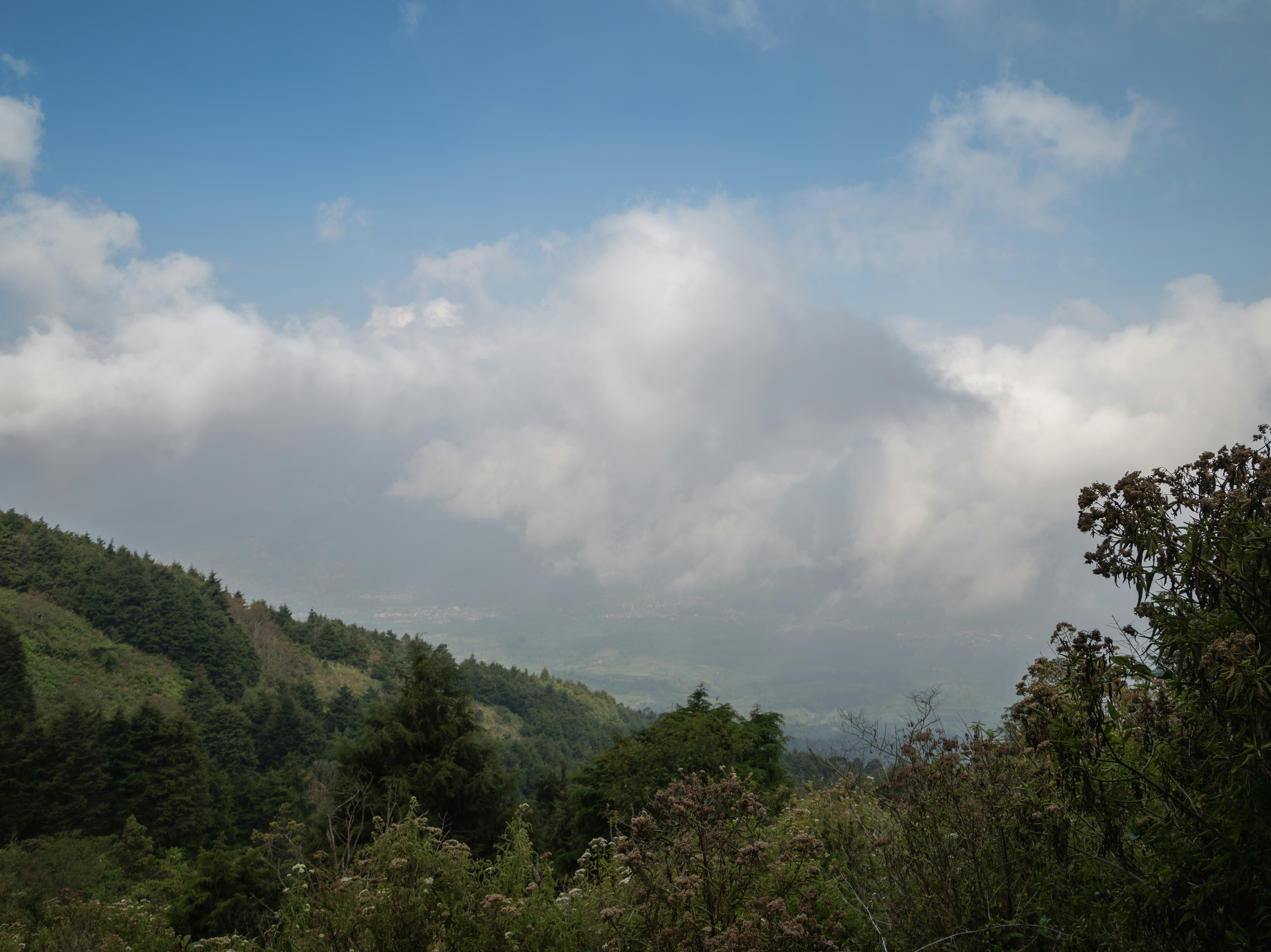 Horizon Veil Over Verdant Hills