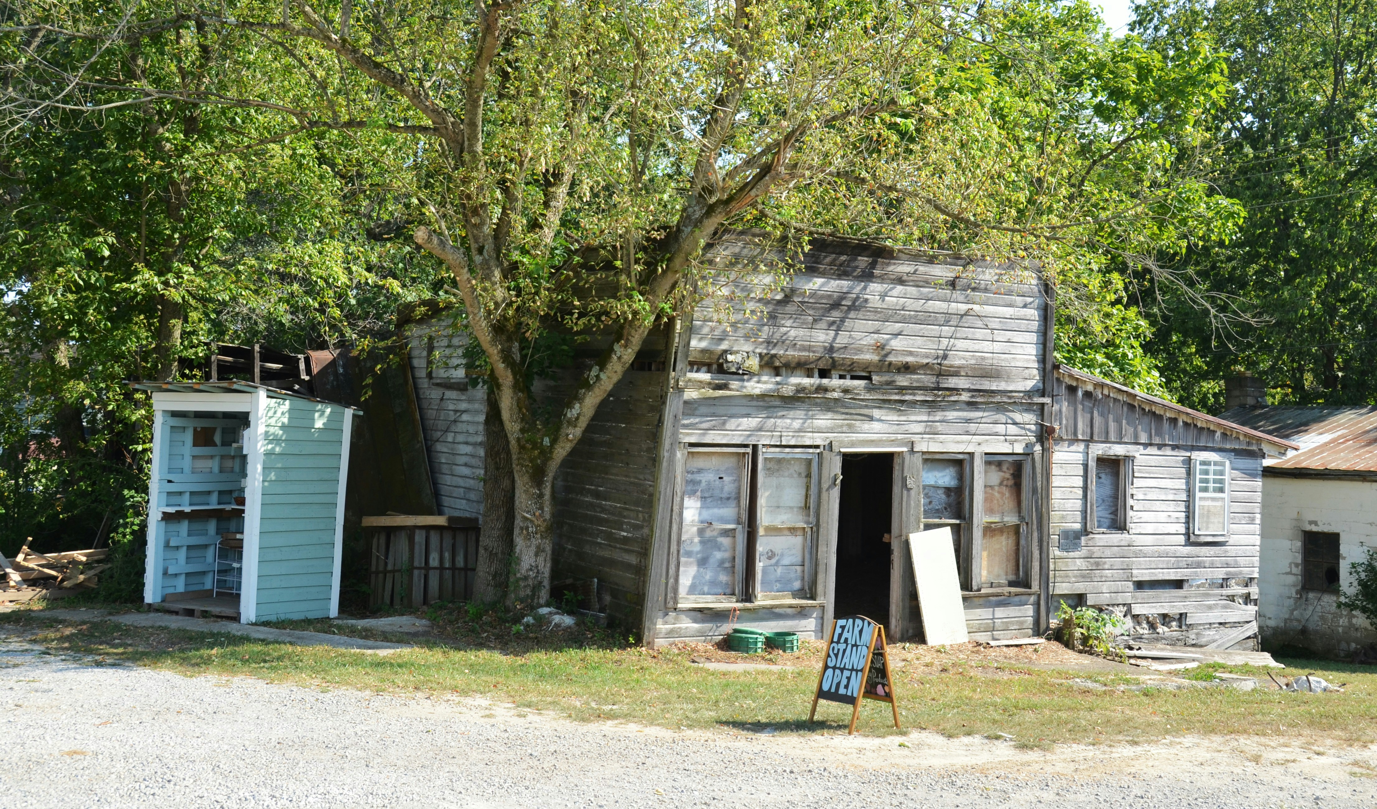 Weathered storefronts under a forgiving canopy of trees