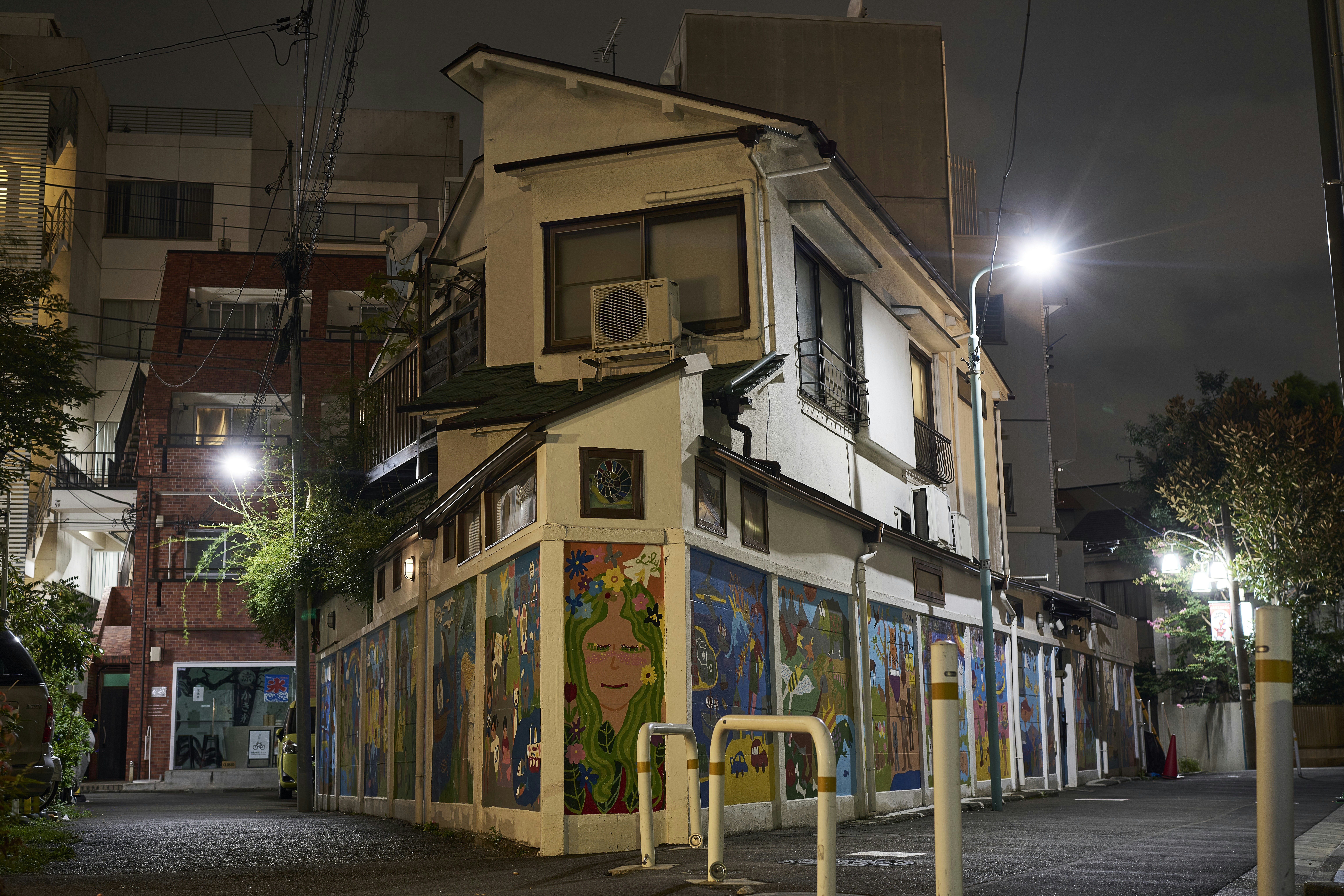 Nighttime Alley: Murals Framing a Quirky Corner House