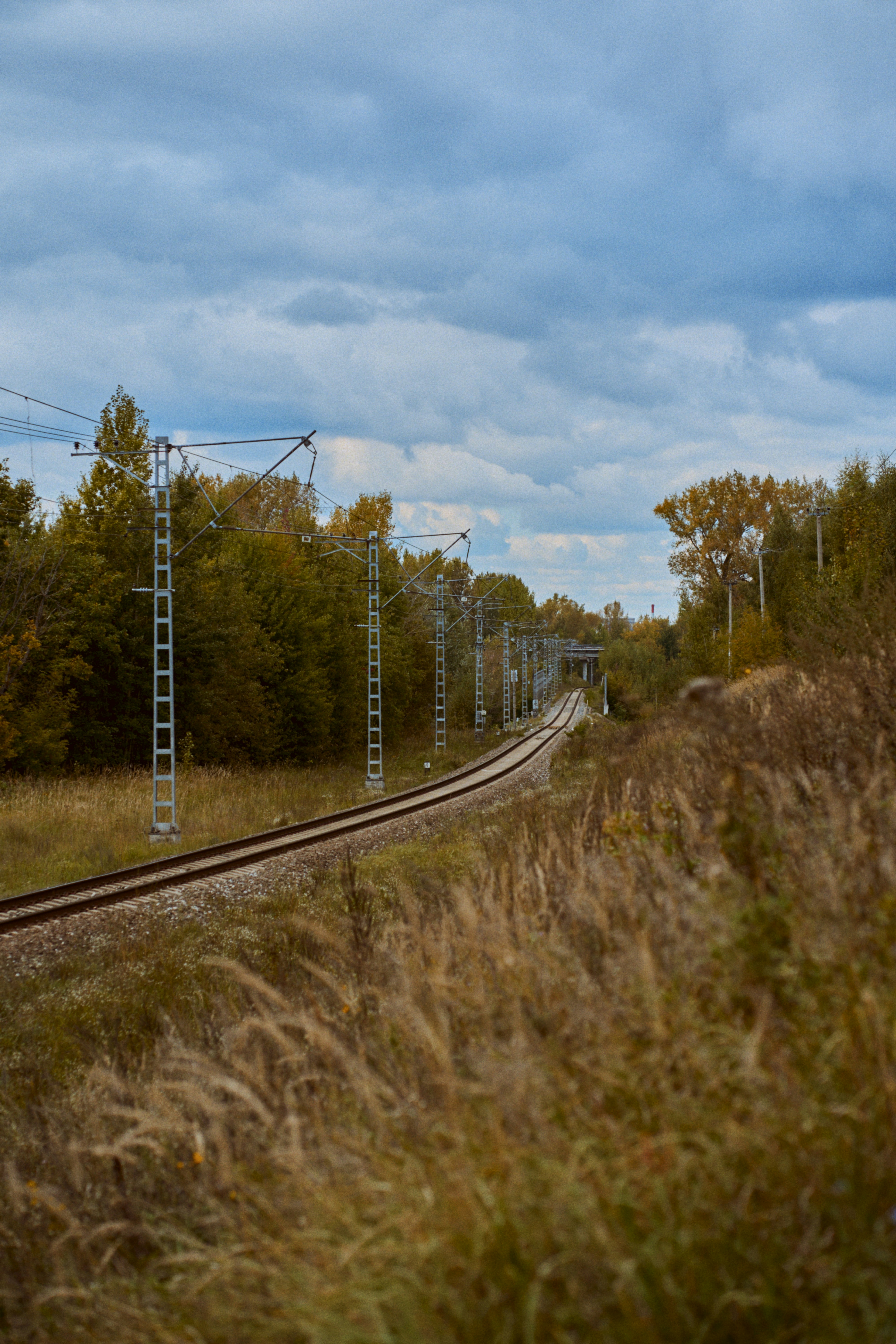 Railway in Autumn: A Quiet Path Through Tall Grass