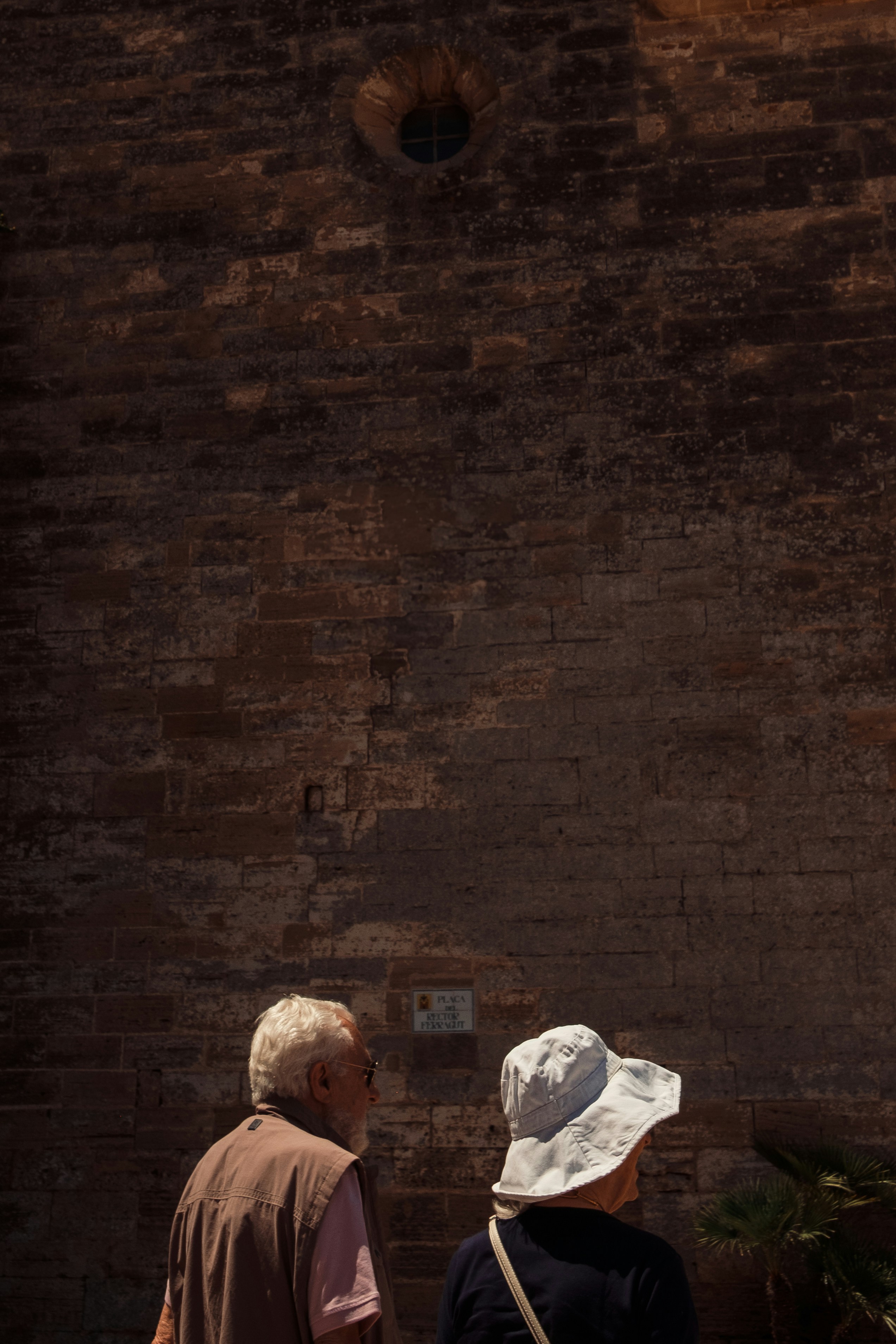 Quiet Companions Beneath Brick Arches