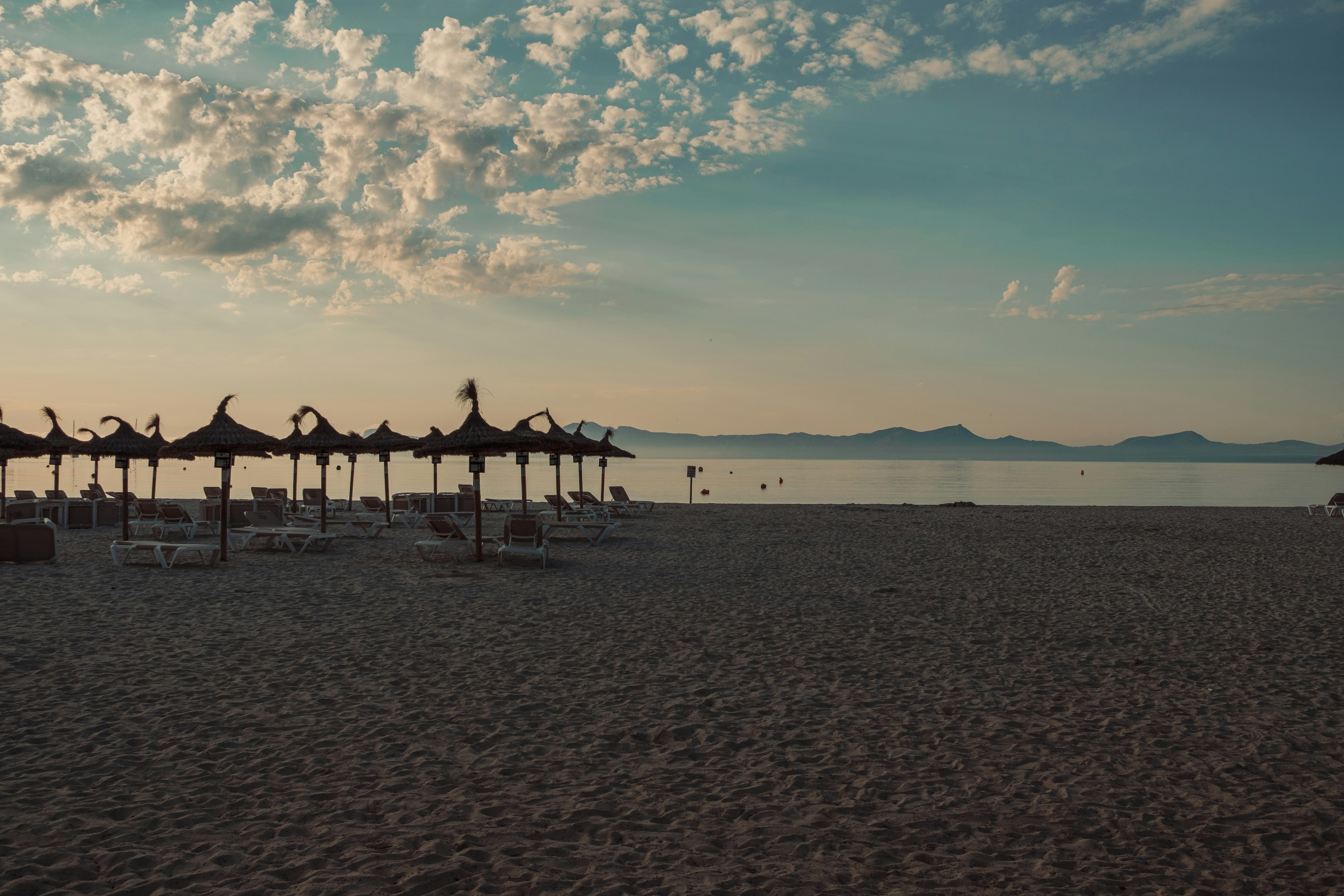 Row of Shaded Beach Umbrellas Quietly Stretch Across a Dusk-Hued Shore