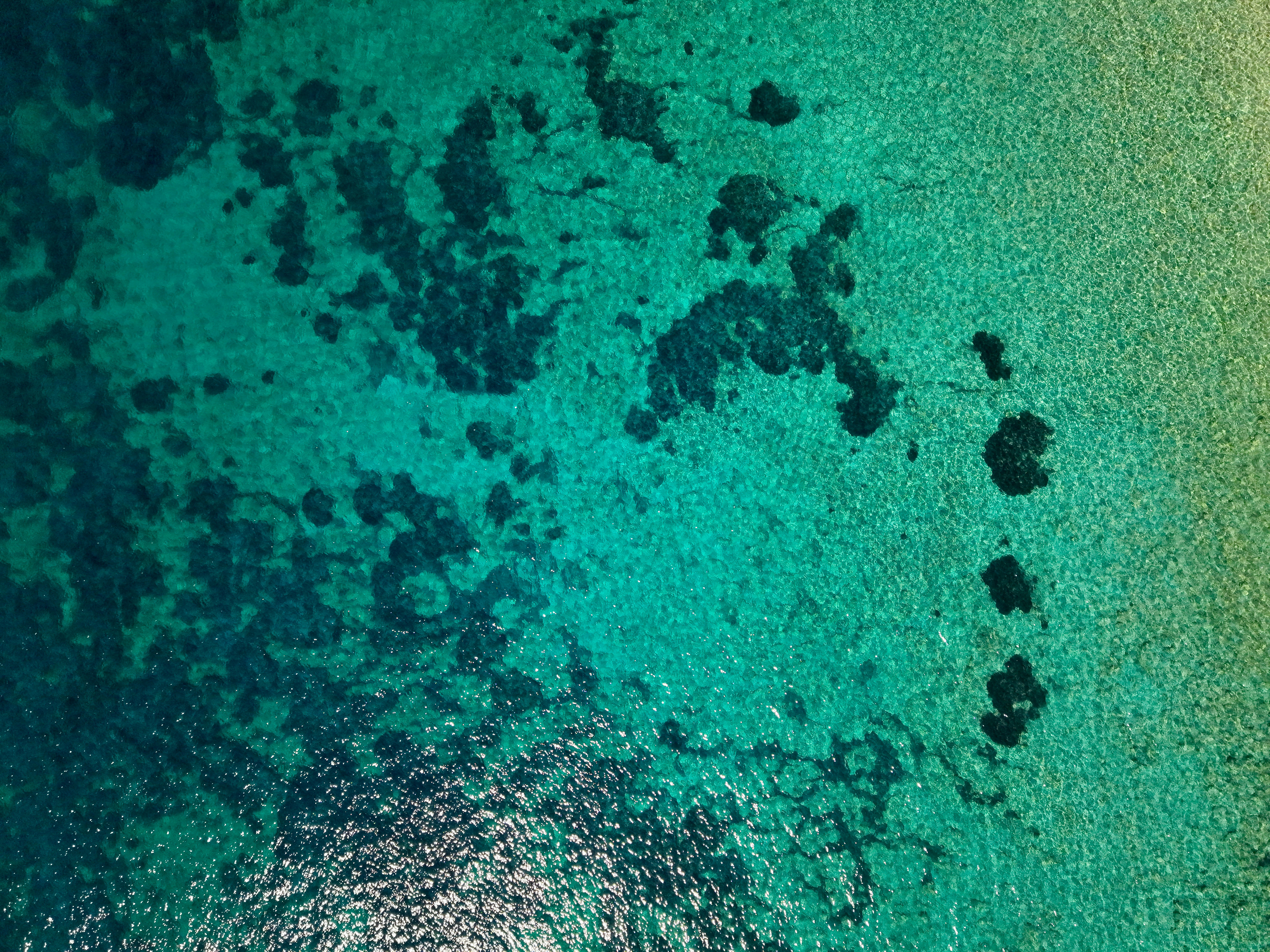 Aerial view of dark coral reefs beneath clear turquoise ocean water