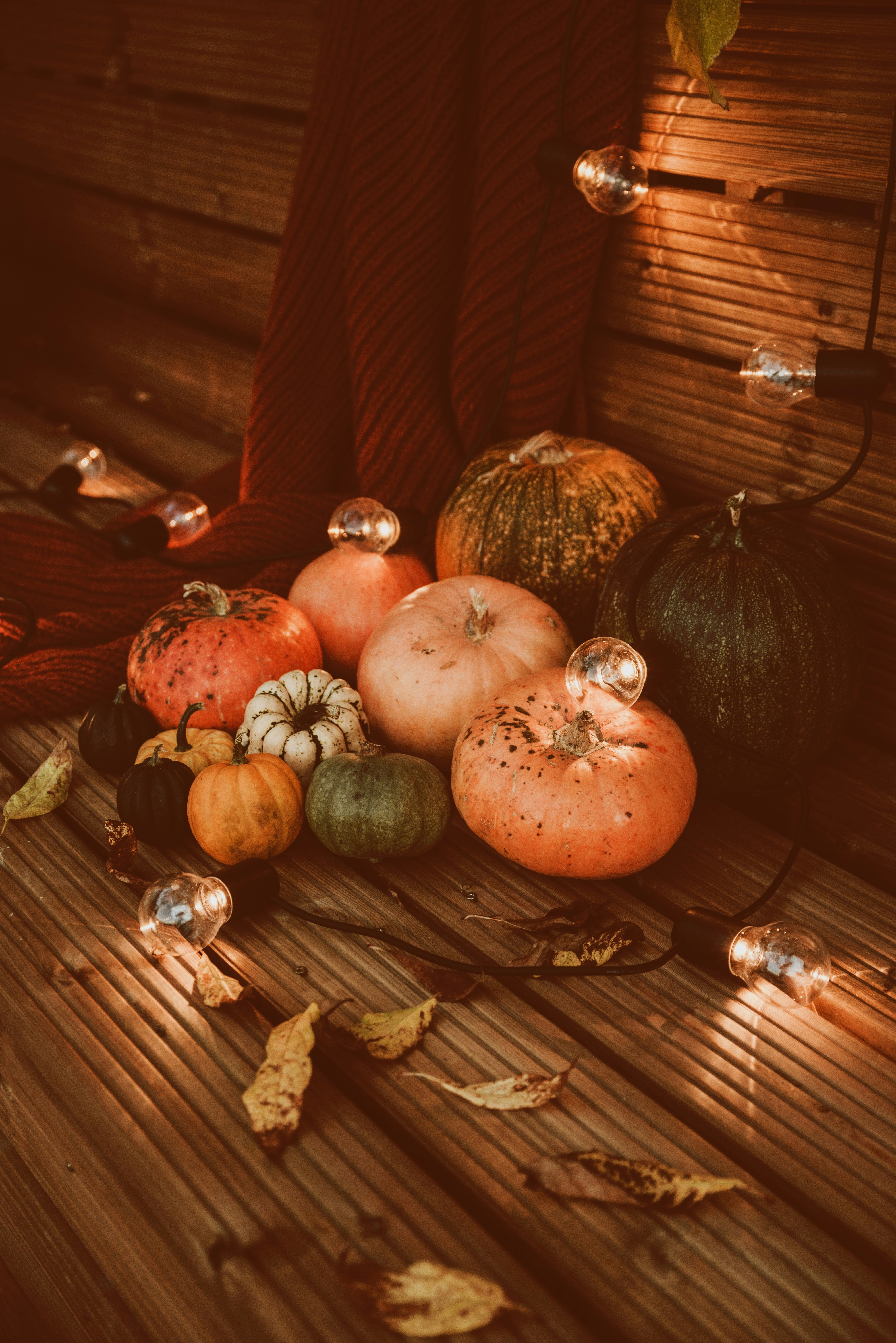 Autumn Bounty Under Warm Fairy Lights