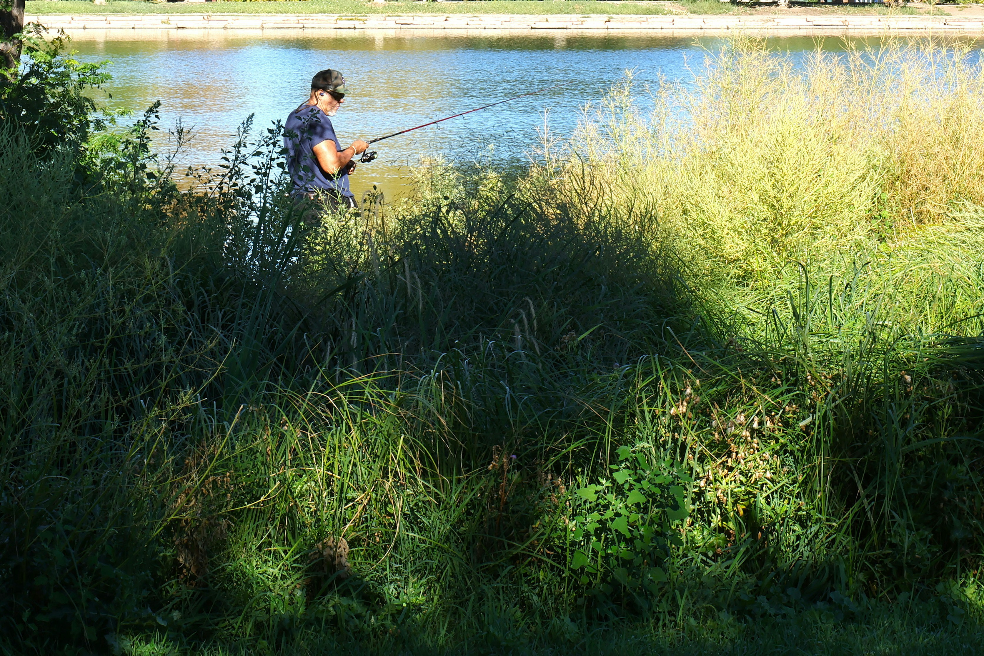 Line in the Grass: A Fisher Staked by the Riverside