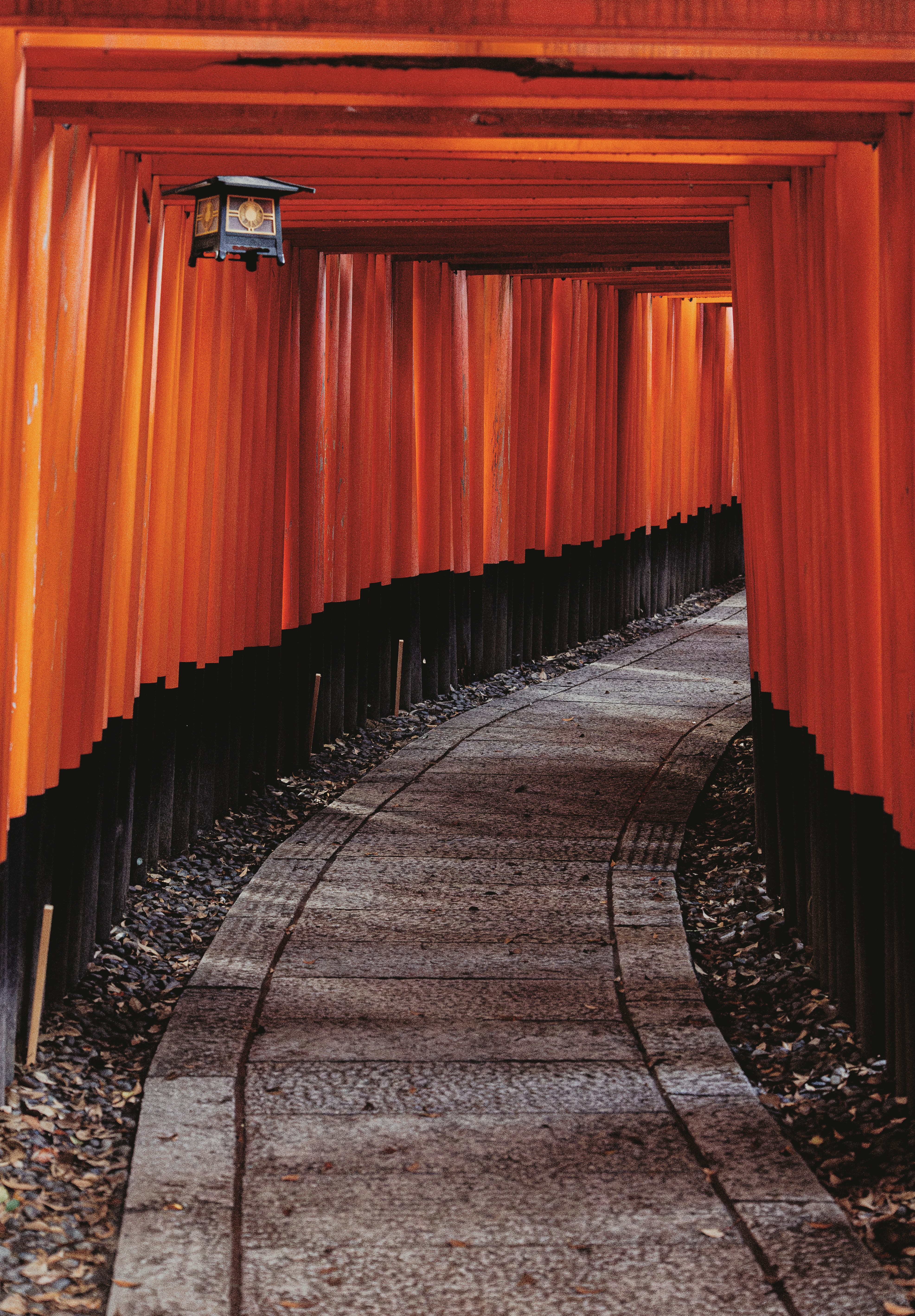 Red Torii Tunnel: A Curved Path Through a Corridor of Crimson Posts