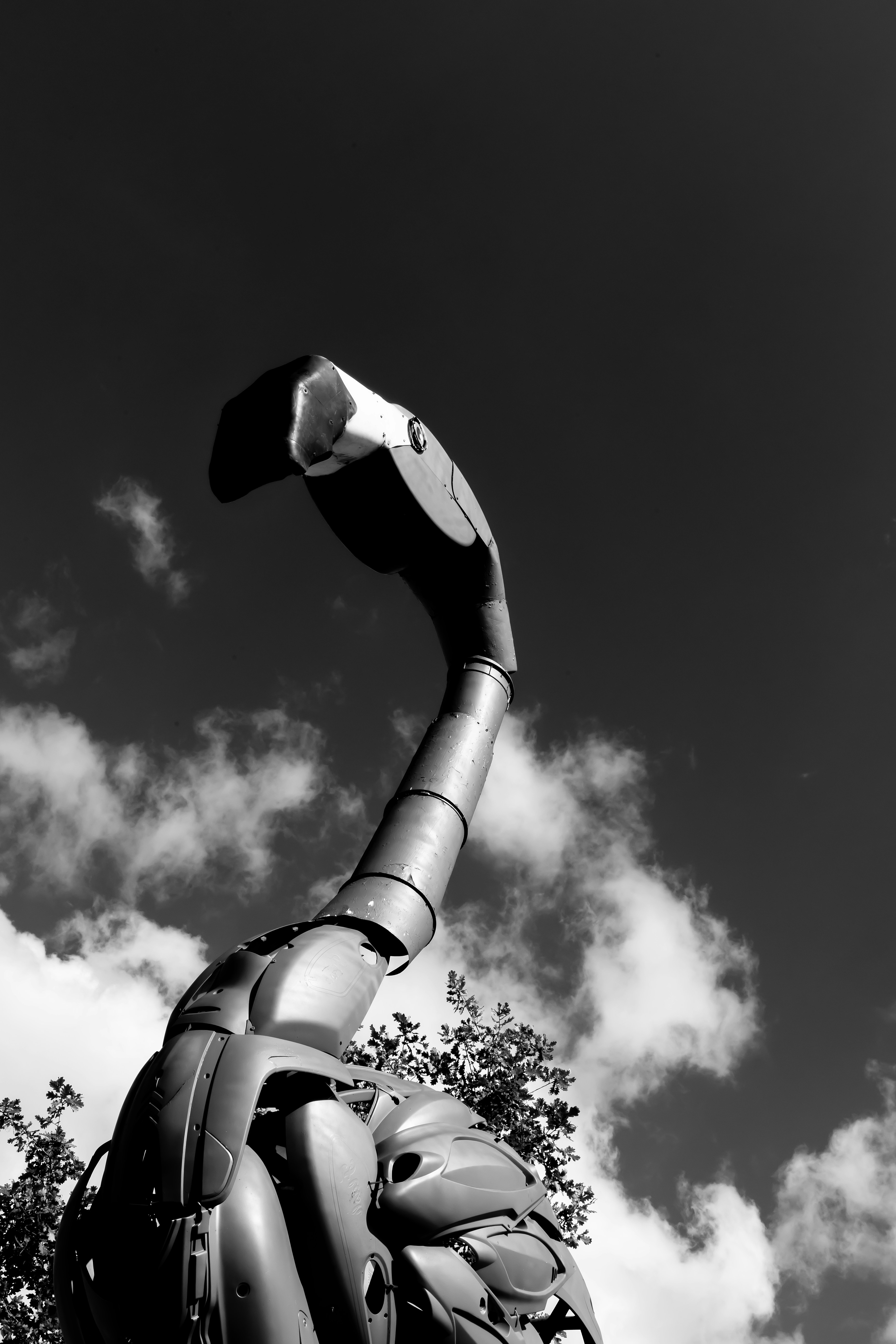 Coiled Tale: The Snaking Slide of a Playground Serpent