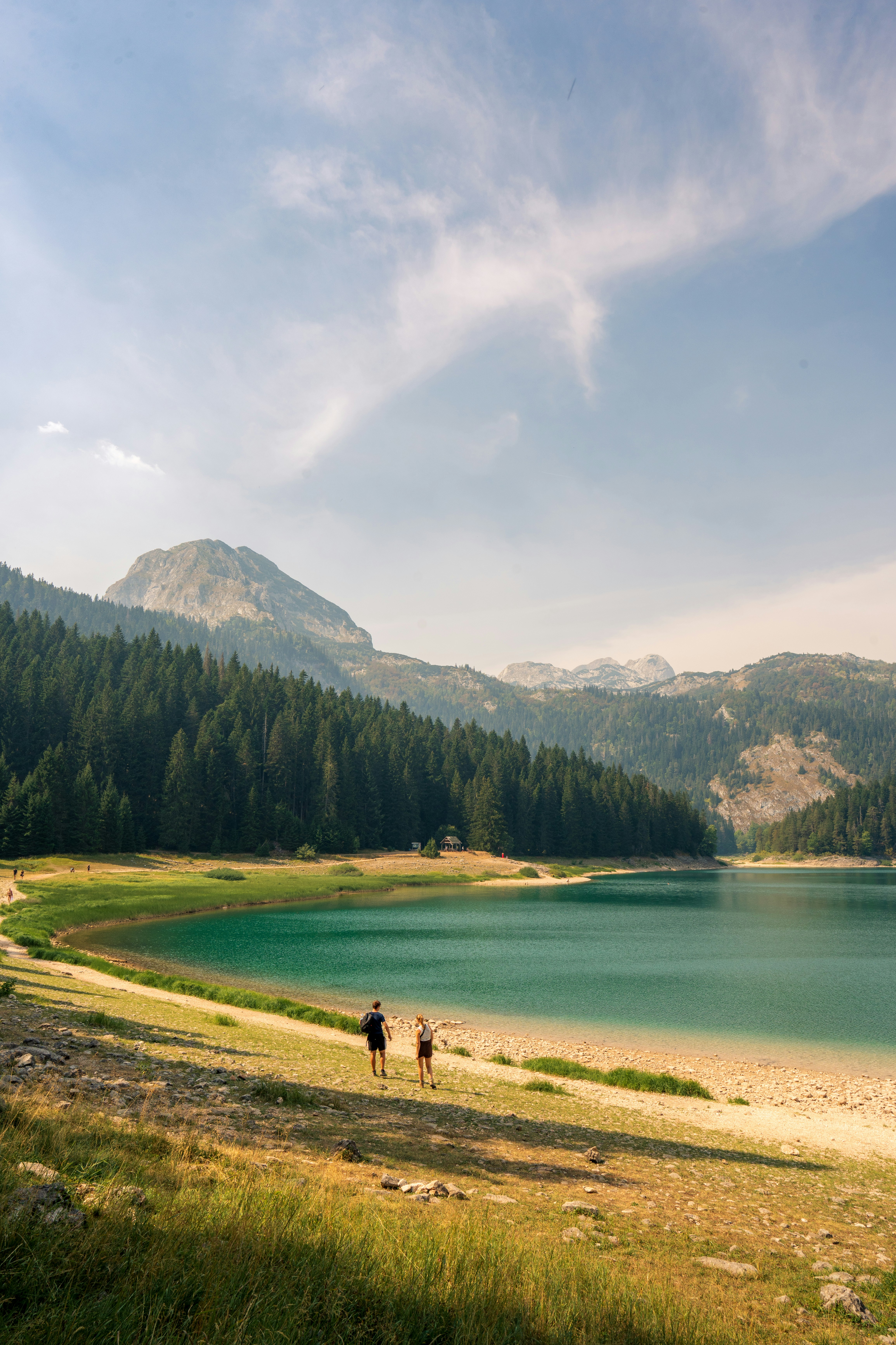 Quiet shoreline at the edge of a pine-swept lake beneath alpine peaks