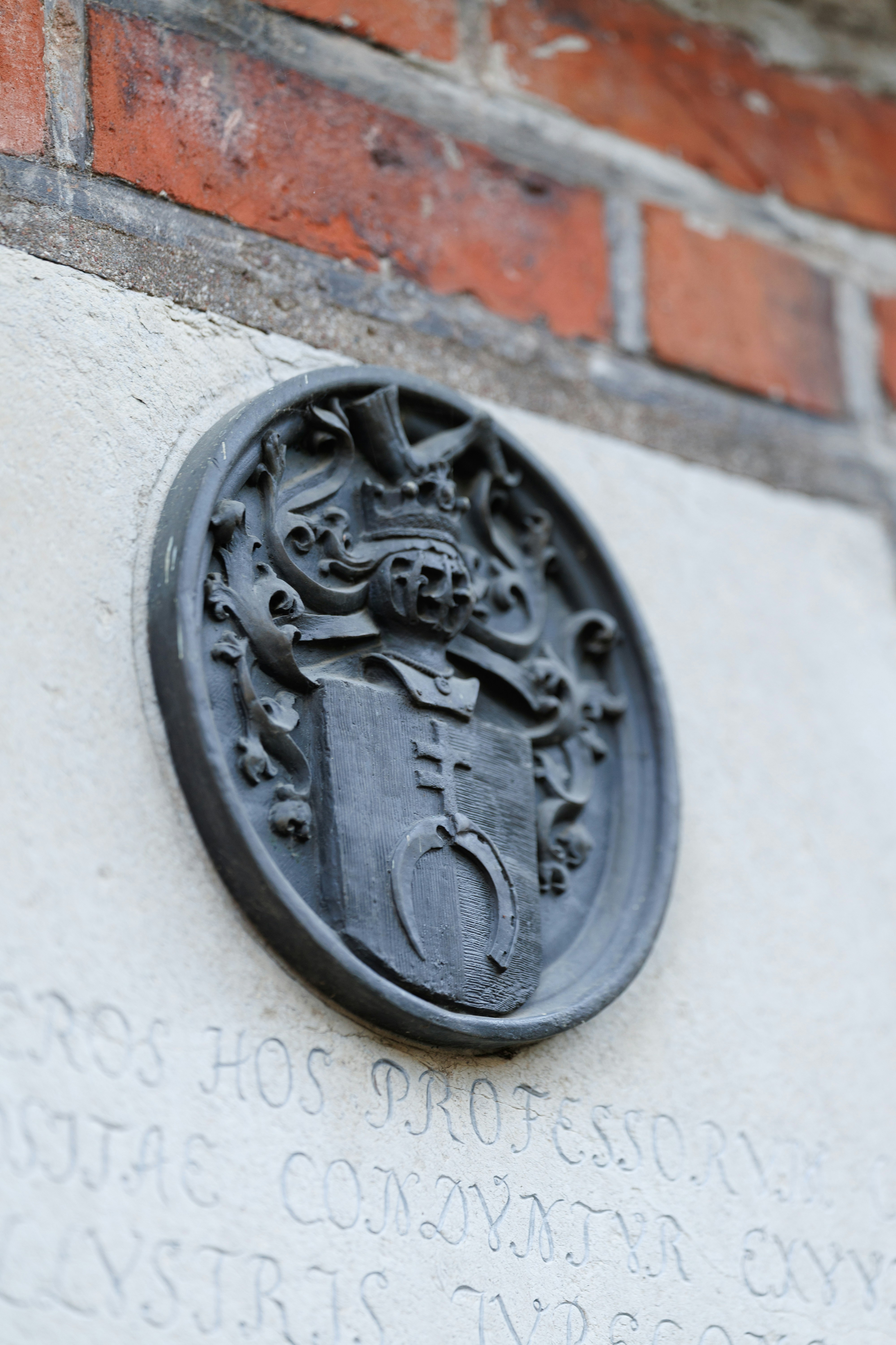 Heraldic Emblem on Weathered Stone: A Circular Coat of Arms Embedded in Brick and Plaster