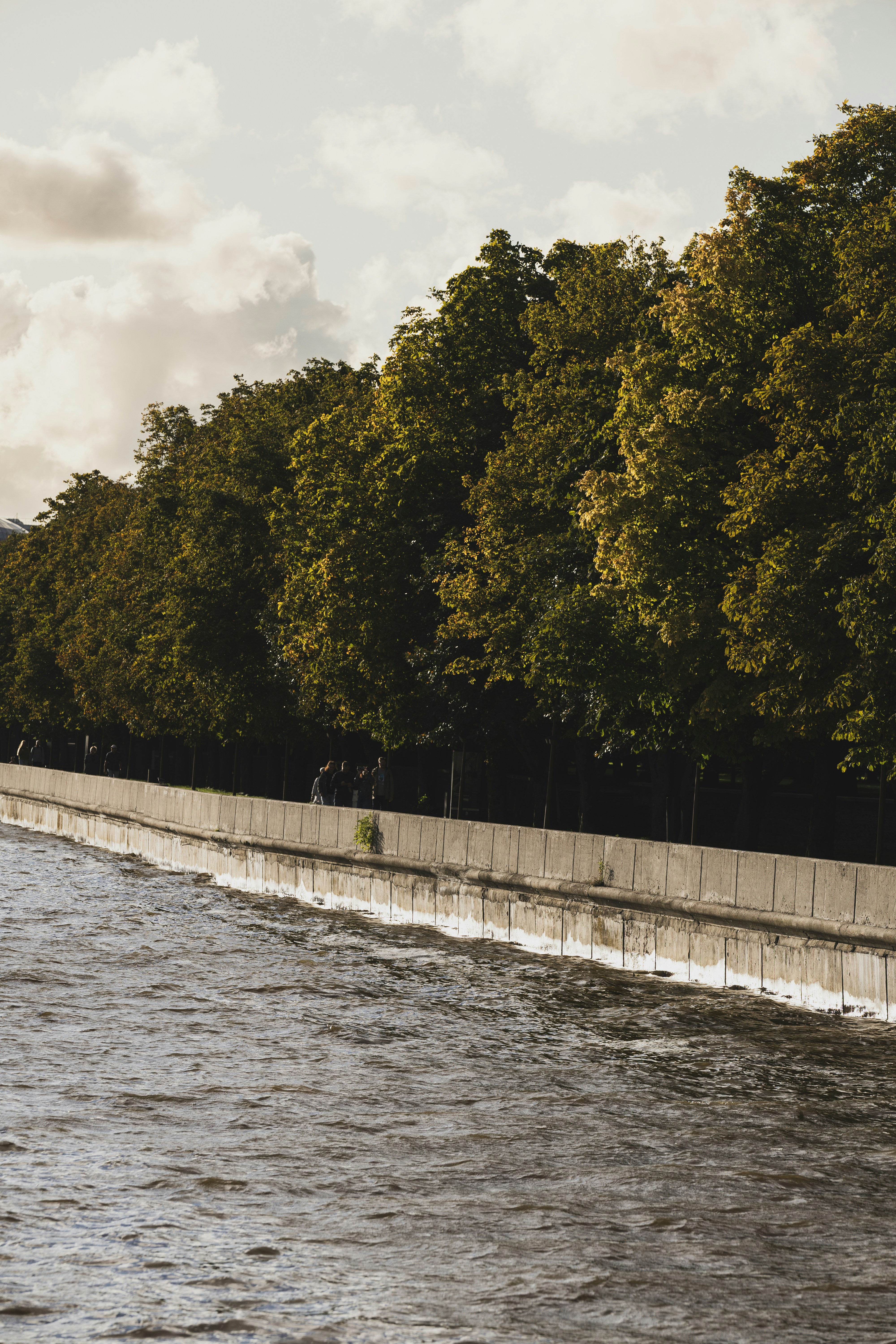Riverside Promenade Framed by Canopy