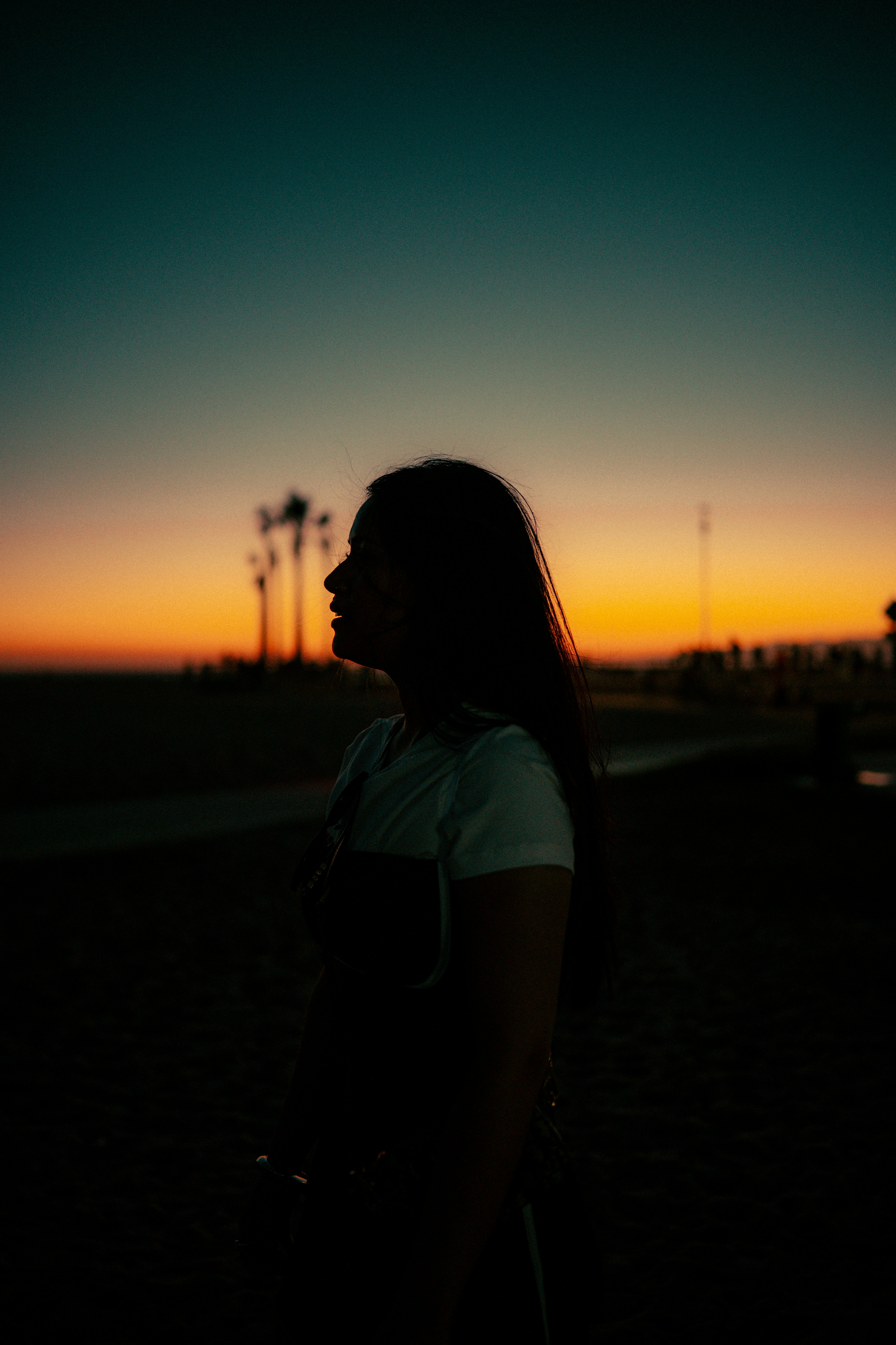Silhouette of a person against a dramatic beach sunset with palm silhouettes and a distant promenade, captured as a moody, low-light scene. This is a portrait-oriented moment emphasizing outlines and color gradient at dusk.